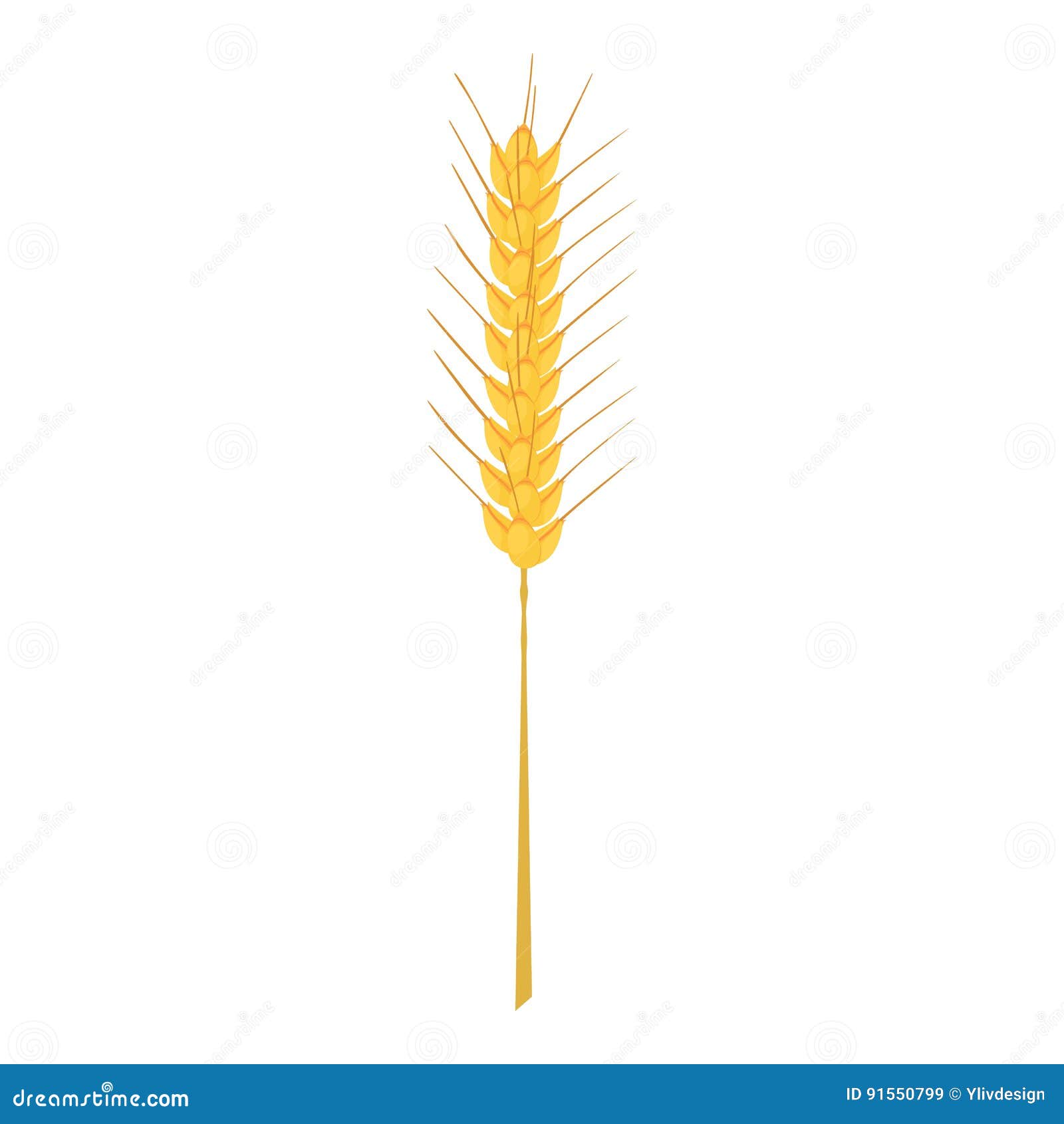 Barley Stalk Icon, Cartoon Style Stock Vector - Illustration of golden ...