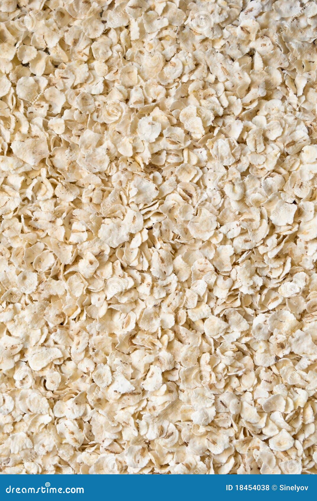 Barley vertical texture stock photo. Image of culture - 18454038