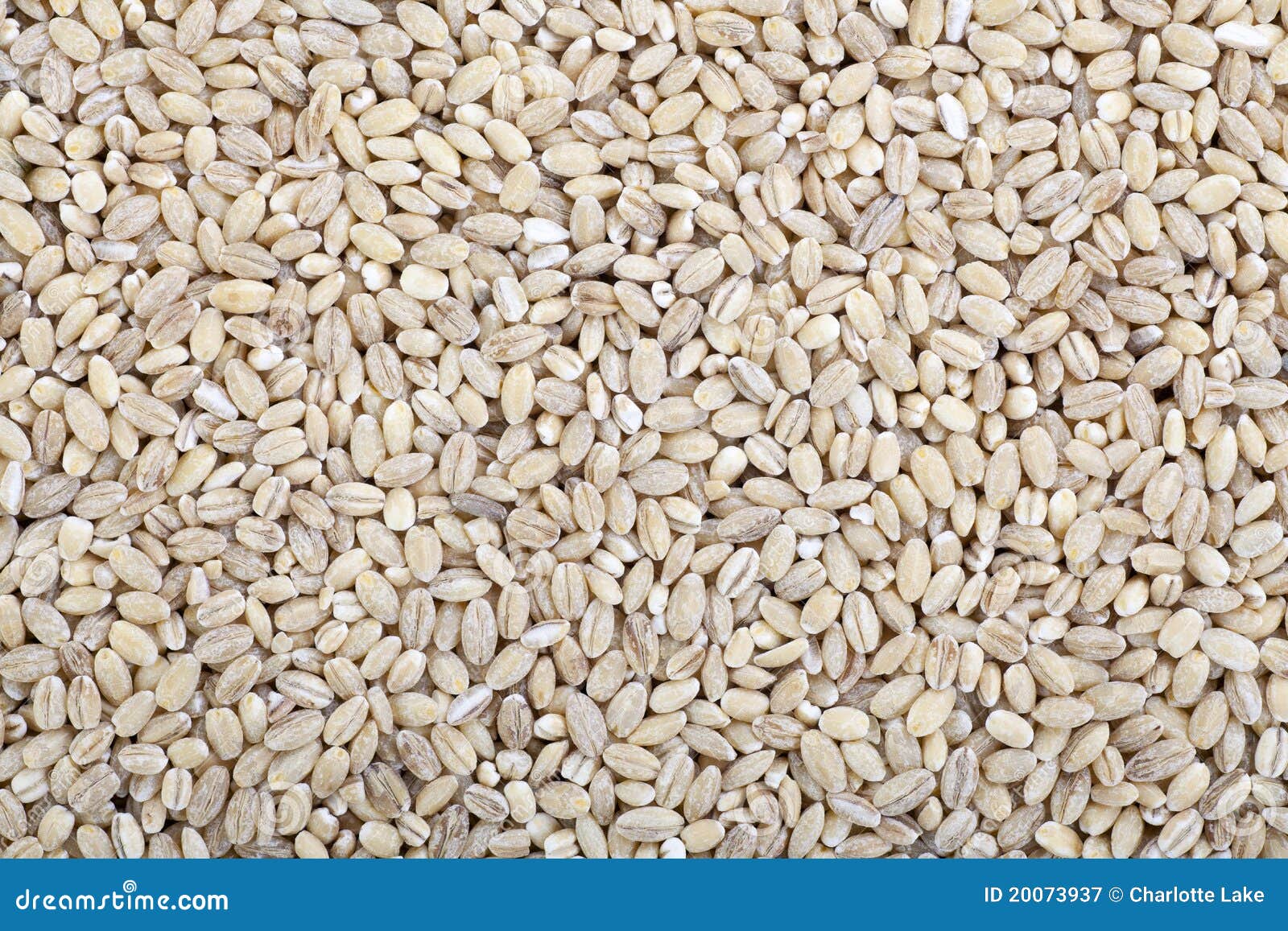 Barley Wheat stock image. Image of ingredient, background - 20073937