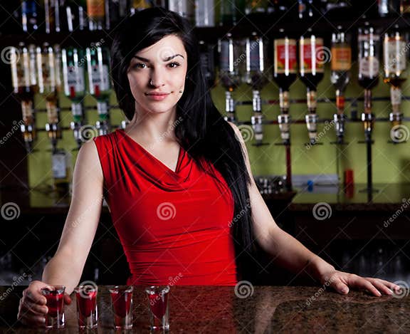 Barmaid stock image. Image of barmaid, drink, alcohol - 22159331