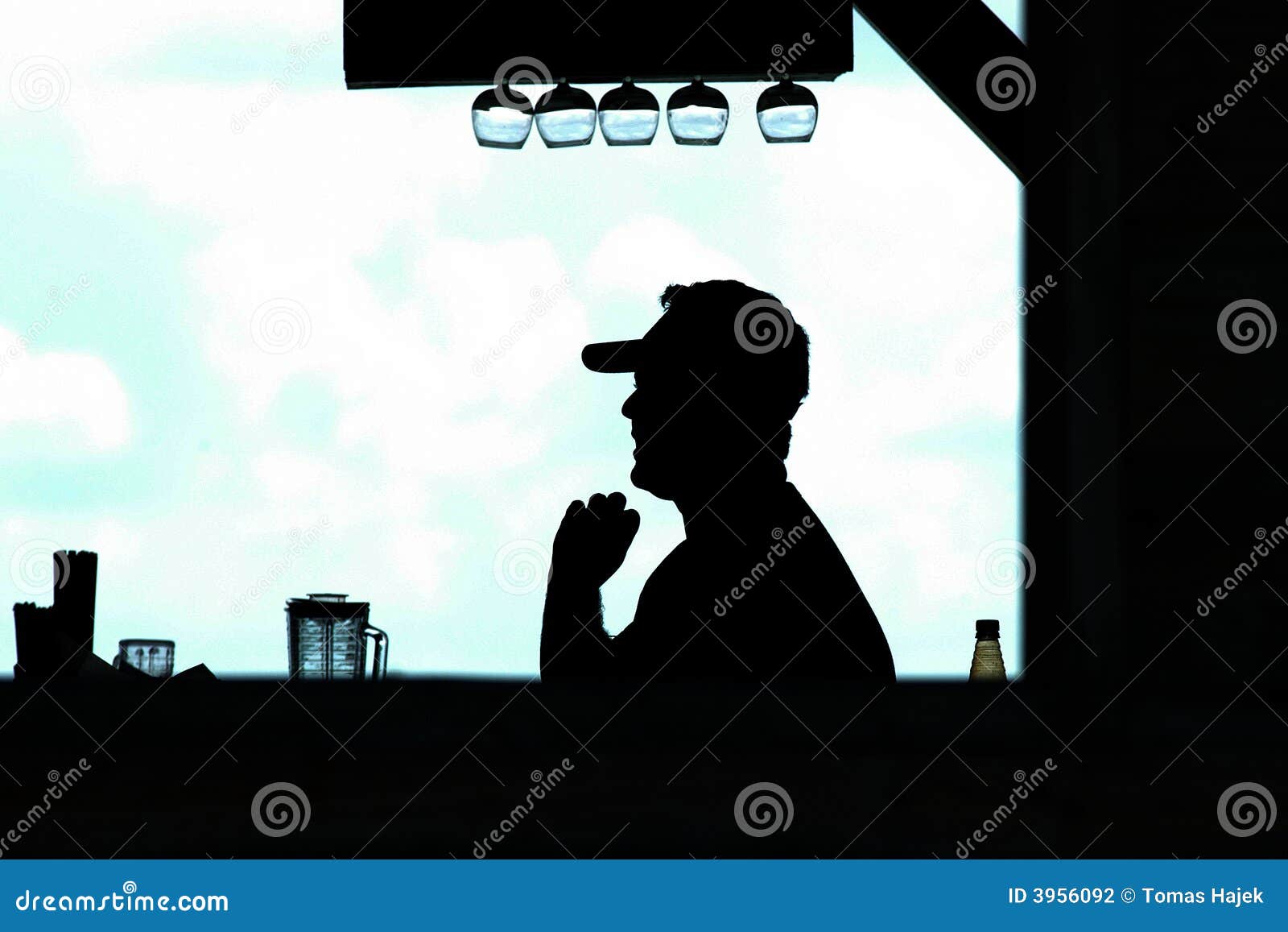 Barman stock photo. Image of indoors, barkeeper, blue - 3956092