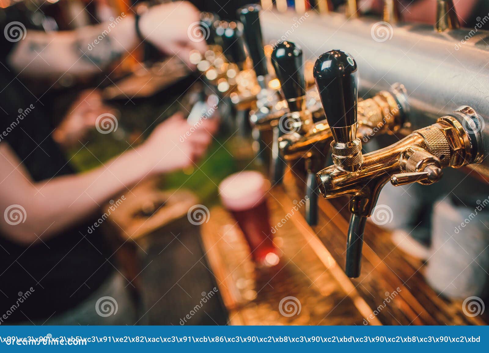 Barman Hands Pouring a Lager Beer in a Glass. Stock Photo - Image of ...
