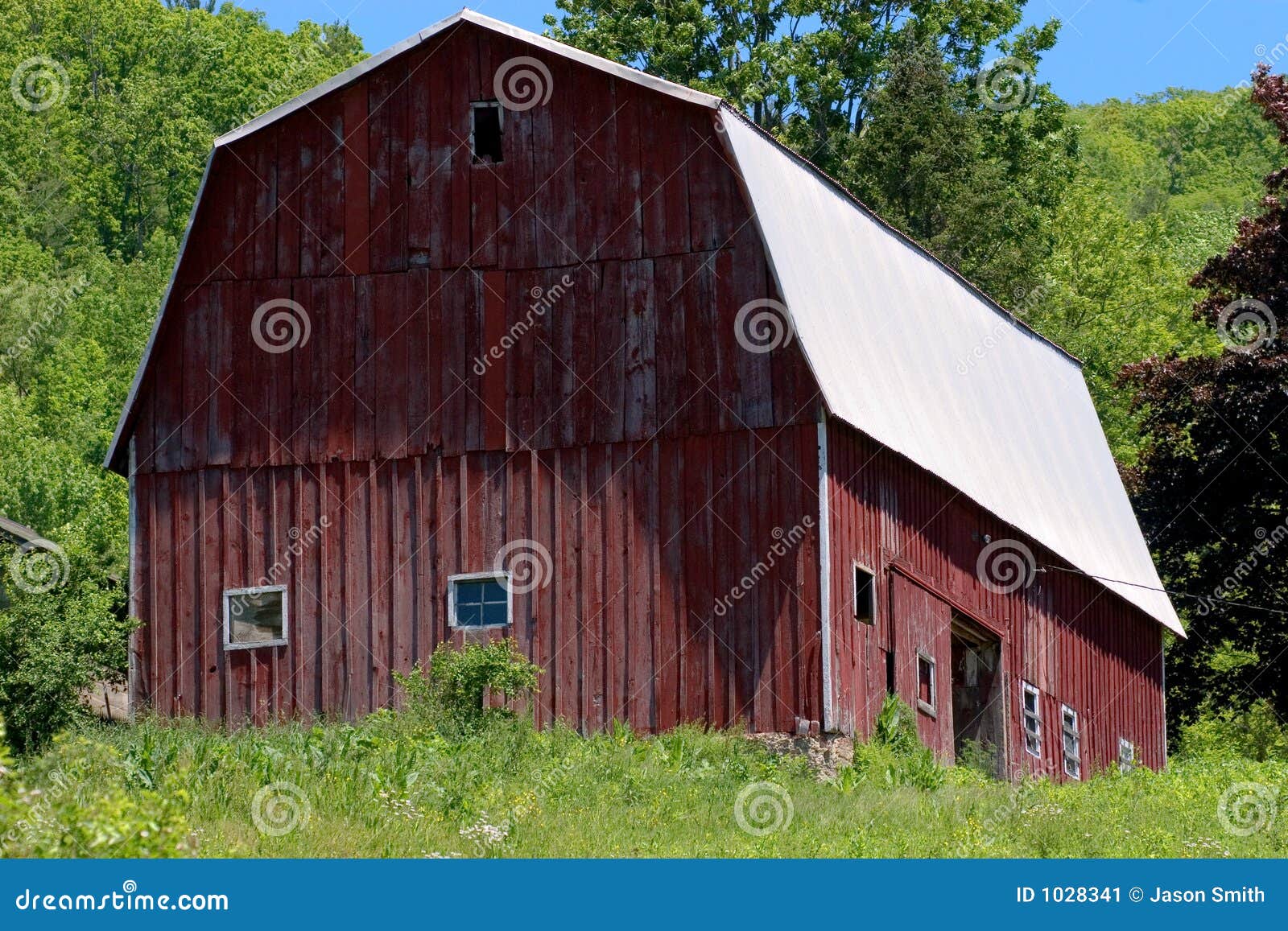 Barn stock image. Image of green, spring, scene, pine - 1028341