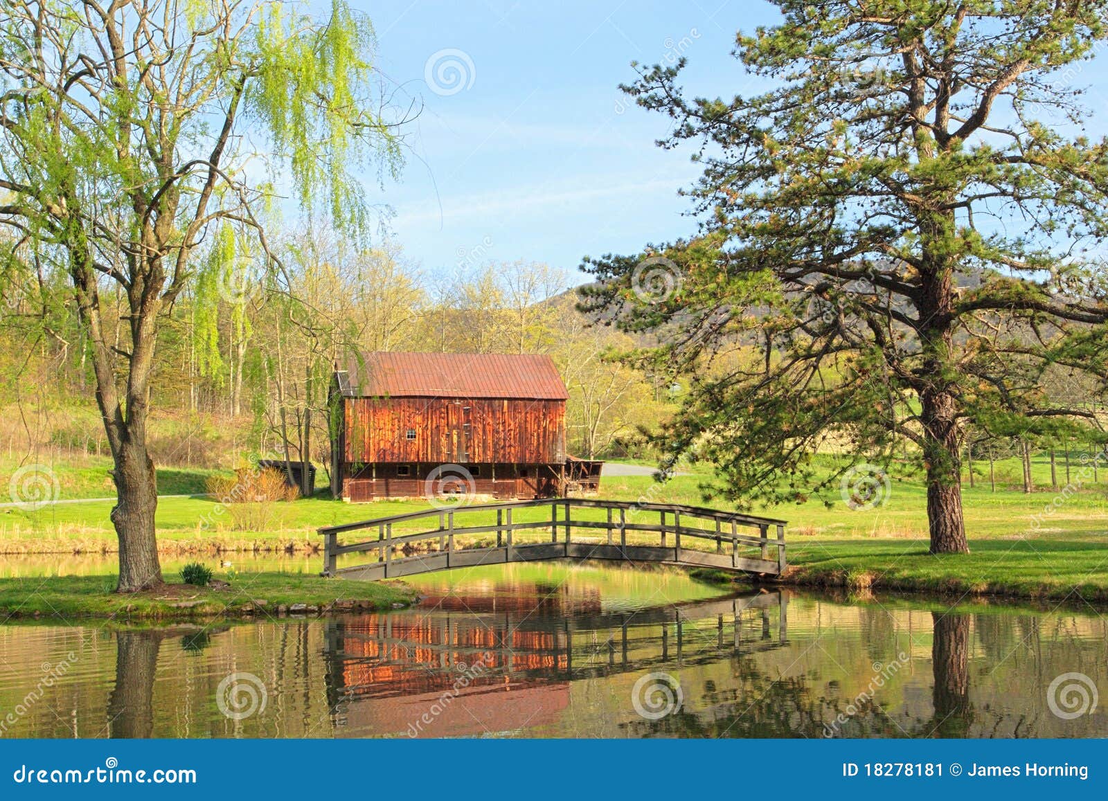 Royalty Free Images, Cartoons, Illustrations And Photos Designed By ...