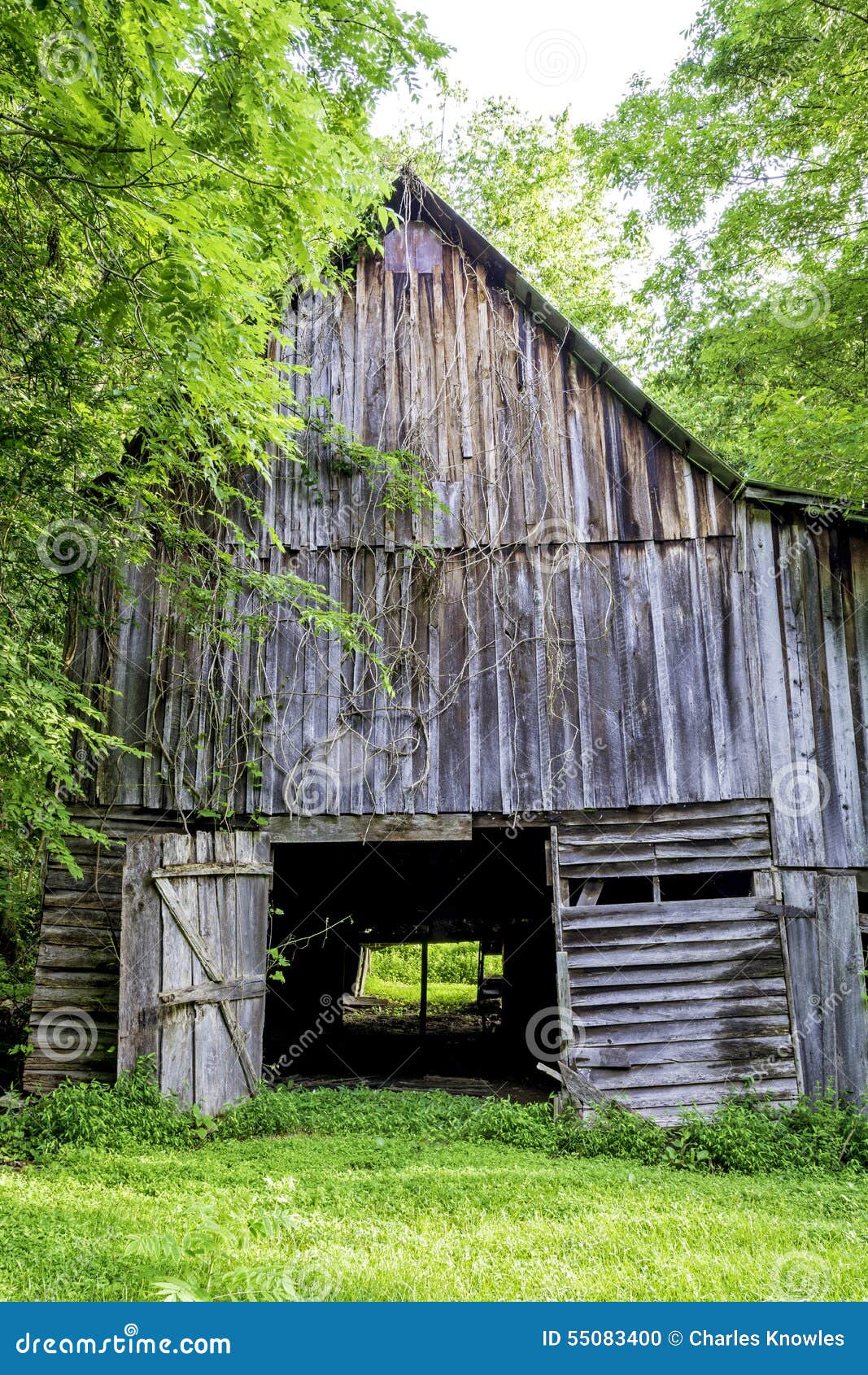 Barn in the Back Woods of Alabama Stock Photo - Image of alabama, wood ...
