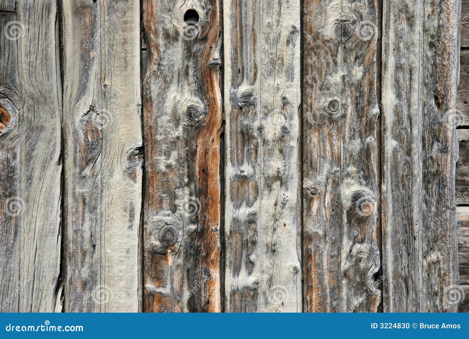 Barn board detail stock photo. Image of boards, broken - 3224830