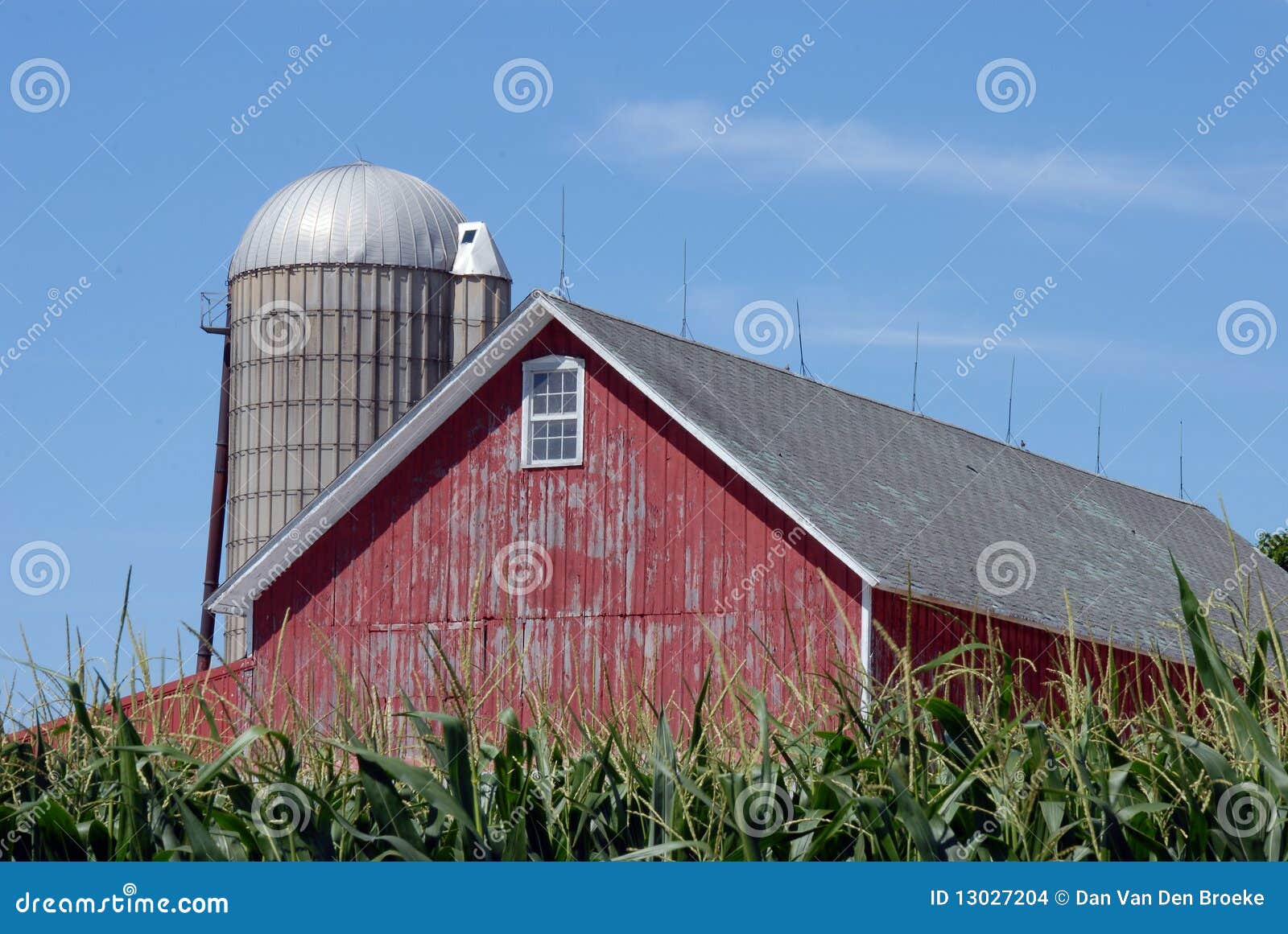 Barn in corn field stock photo. Image of blue, large - 13027204