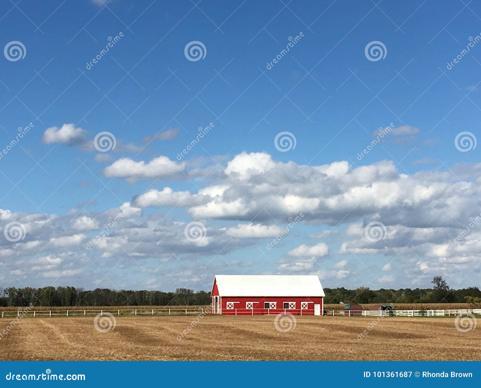 Barn country stock image. Image of country, barn, tree - 101361687
