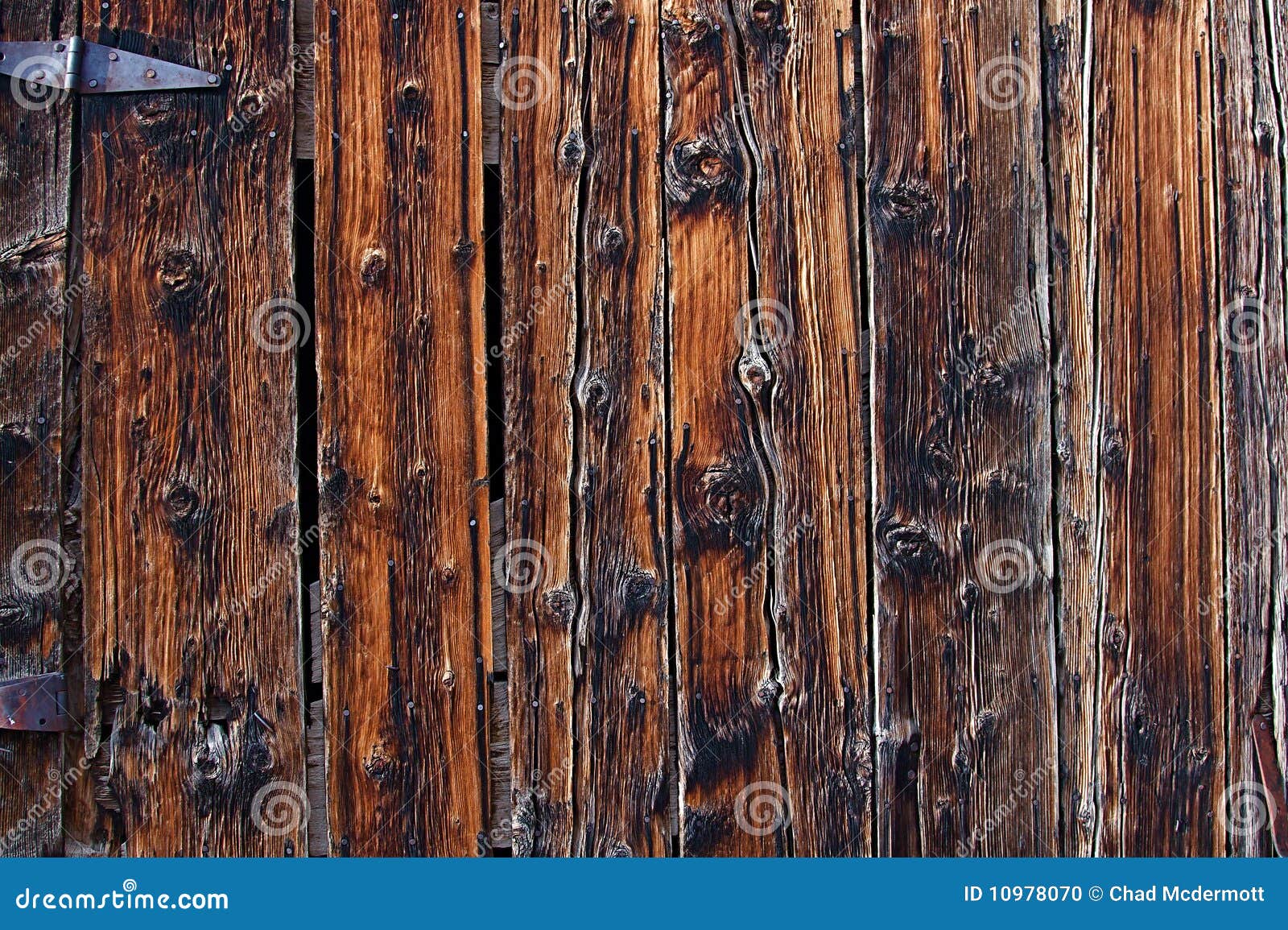 Barn Door Texture stock photo. Image of wood, nails, barn - 10978070