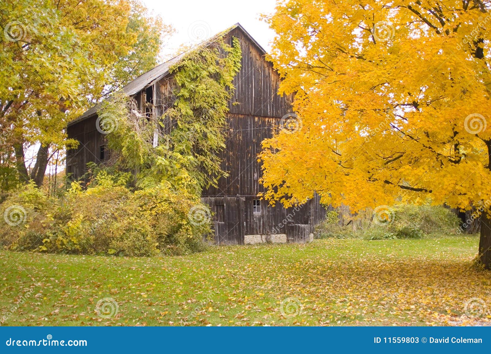 BArn in Fall stock image. Image of agriculture, fall - 11559803