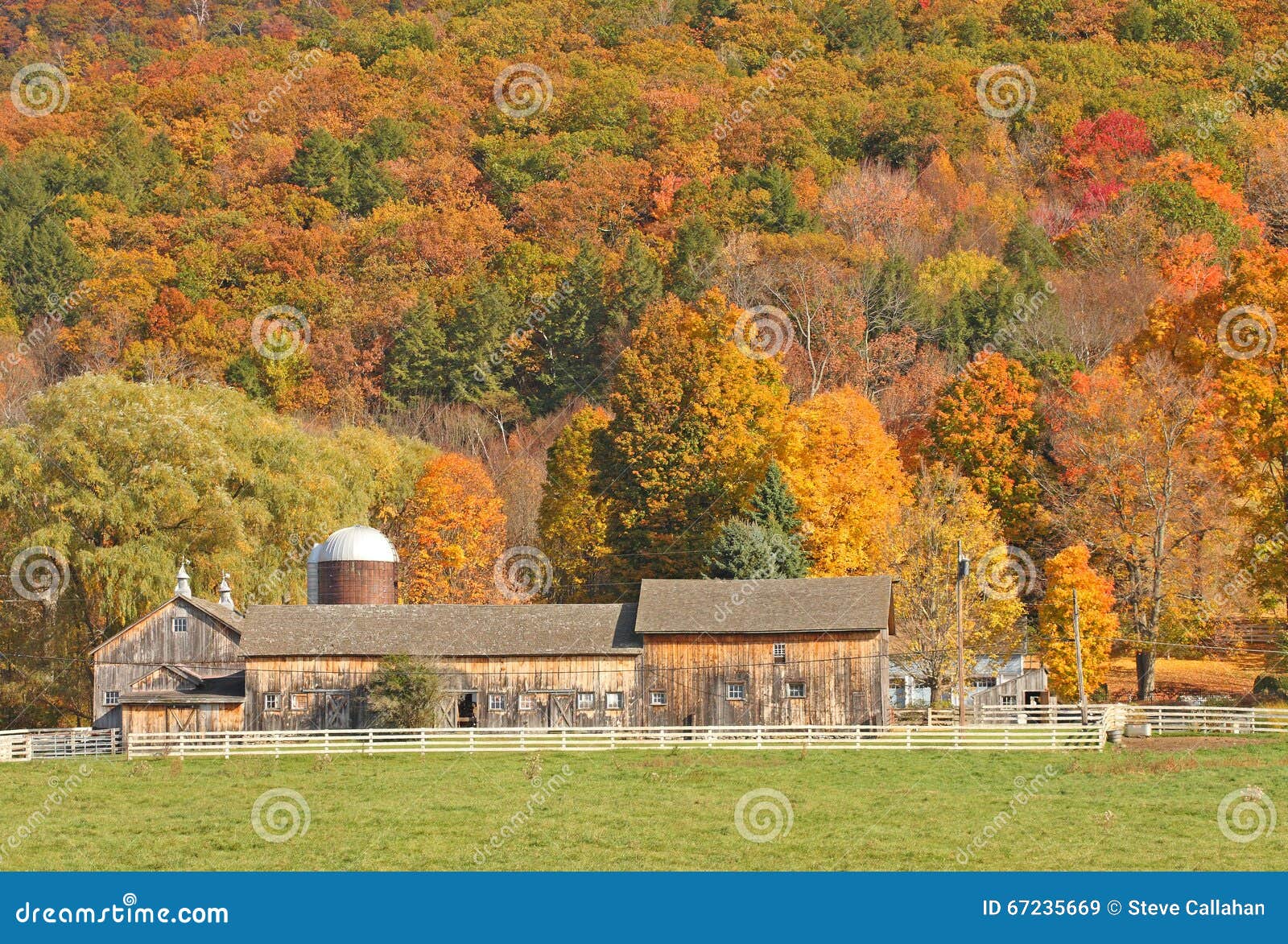 Barn and Fall Colors Rural New York Stock Image - Image of white ...