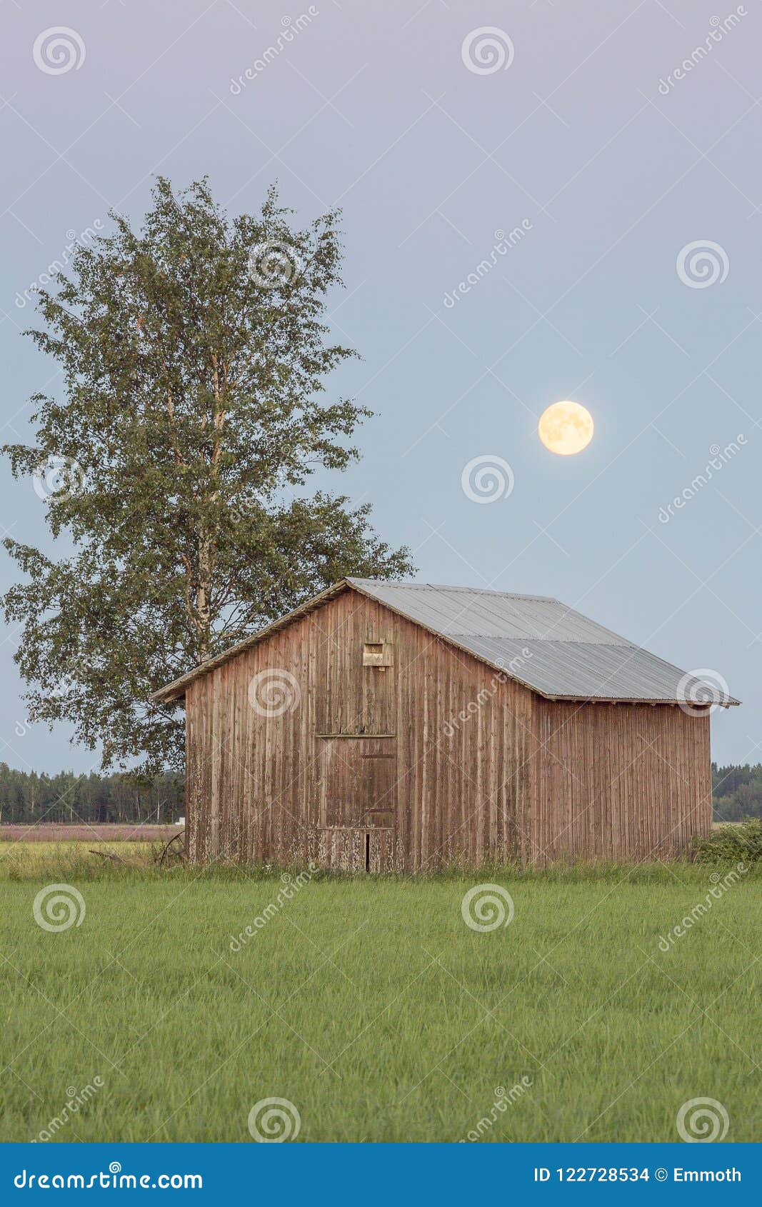 Barn in Farmfield by Tree with a Full Moon Stock Photo - Image of barn ...