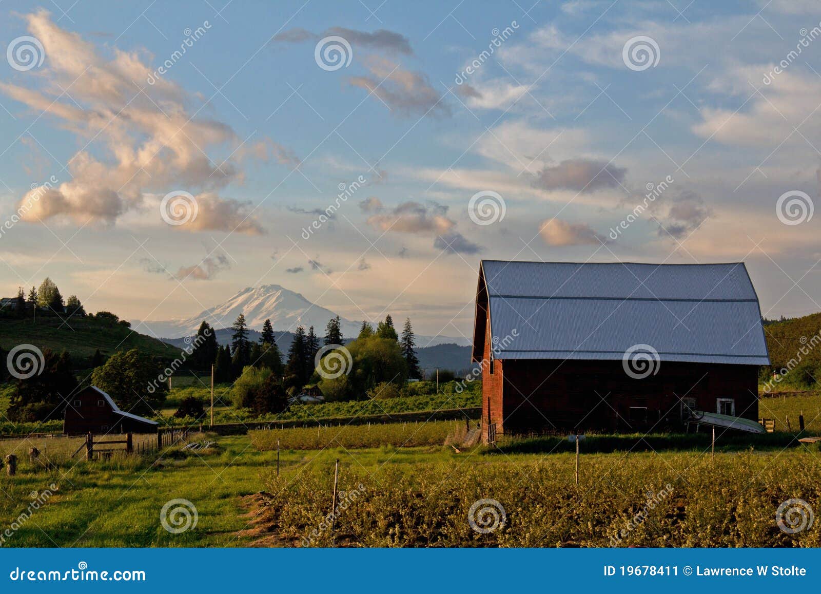 Barn, Farmland and Mount Adams Stock Image - Image of washington ...