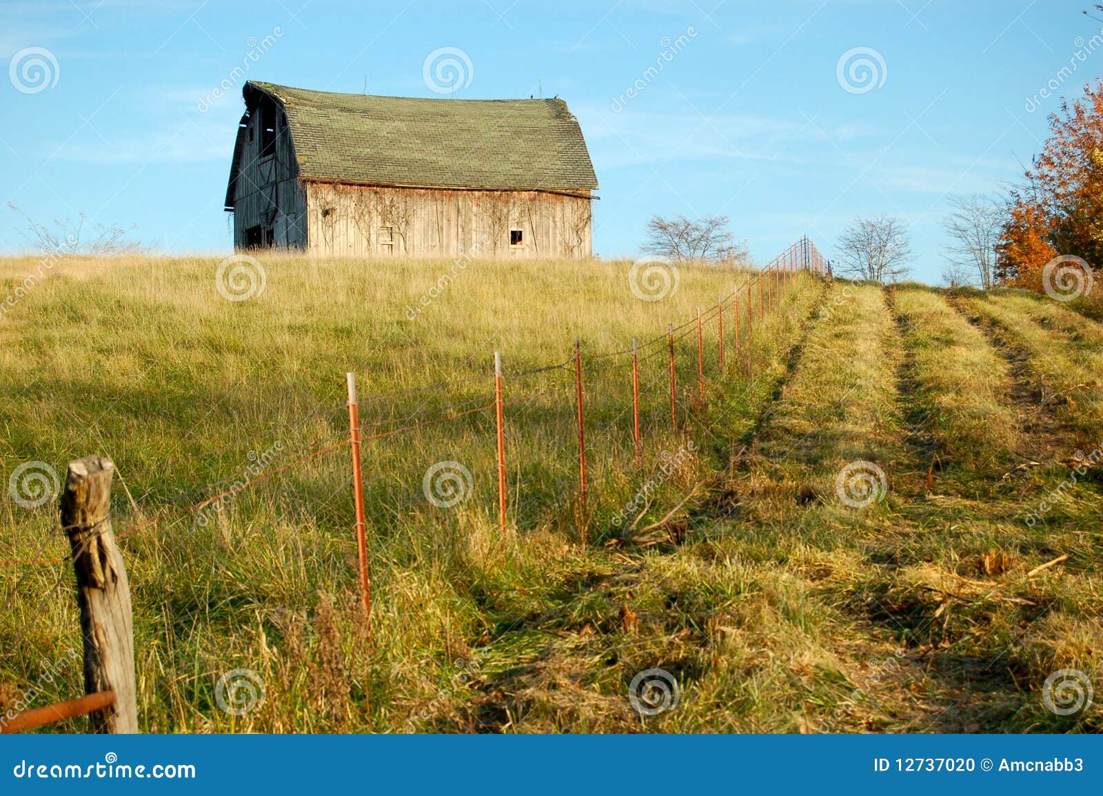 Barn Farm Country Fence