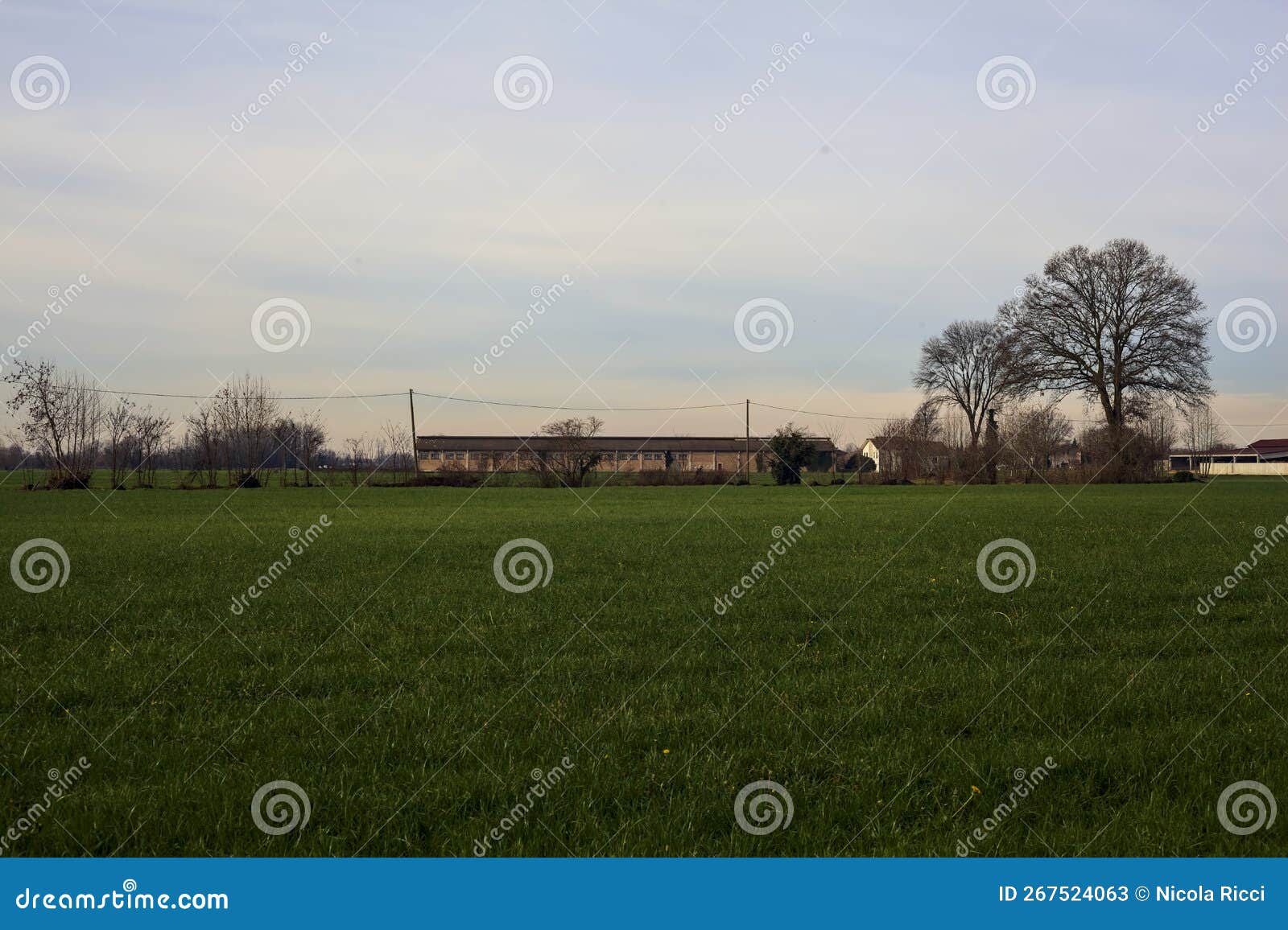 Barn in a Field with Bare Trees Next To it in the Italian Countryside ...
