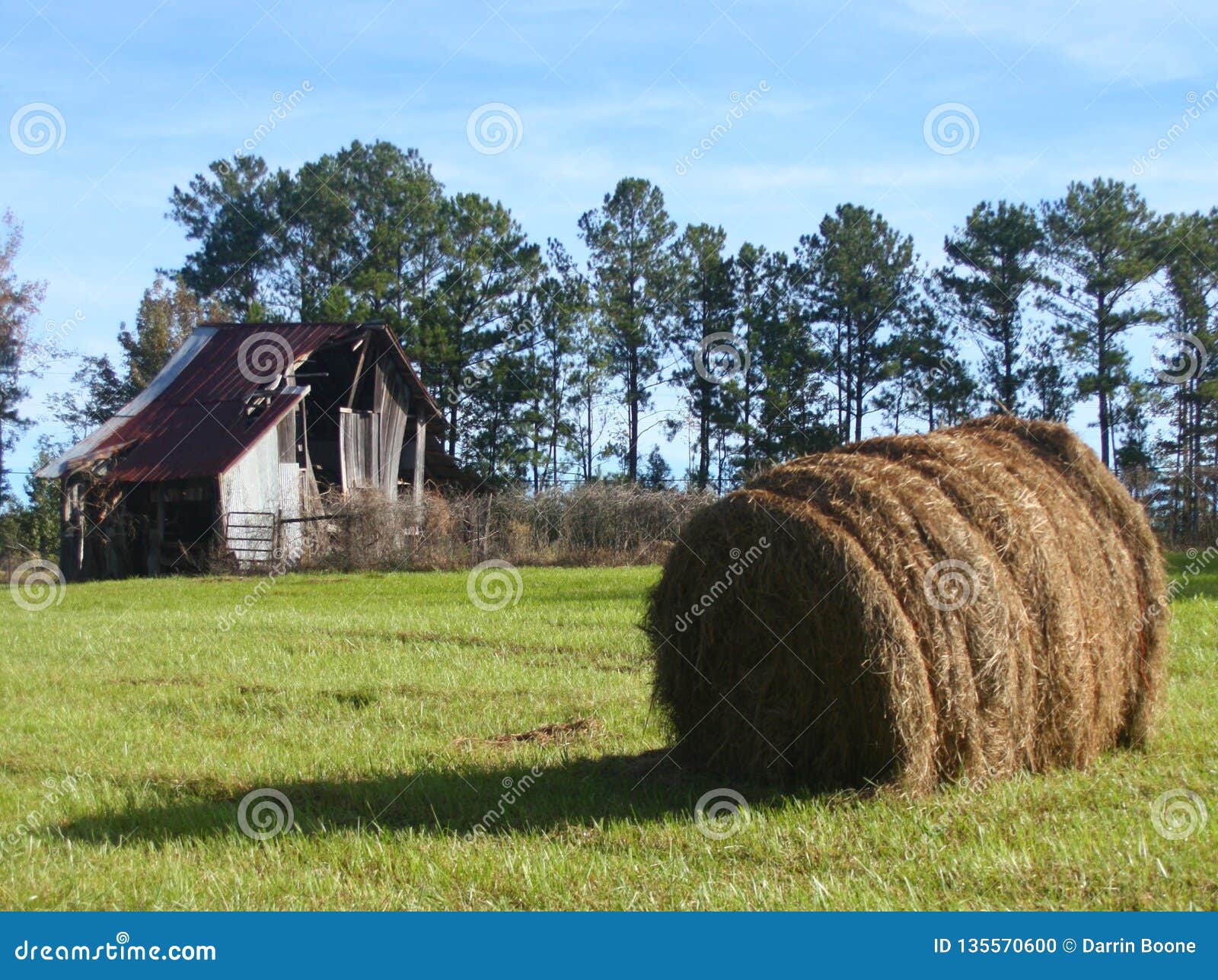 Barn in Field with Hay in Foreground Stock Photo - Image of barn, bale ...