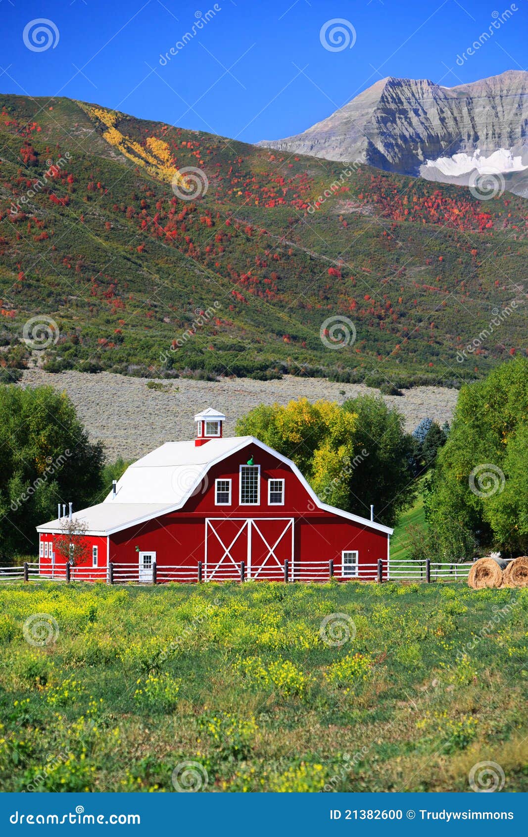 Barn and Fields in Early Autumn Stock Photo - Image of architecture ...