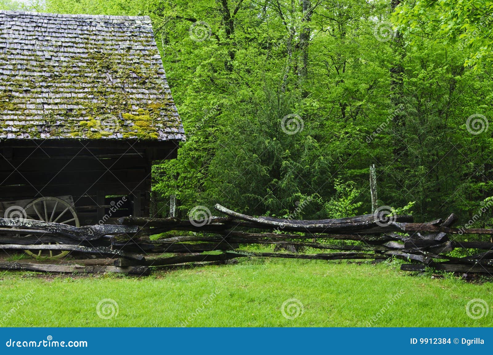 Barn in forest stock photo. Image of freshness, nature - 9912384