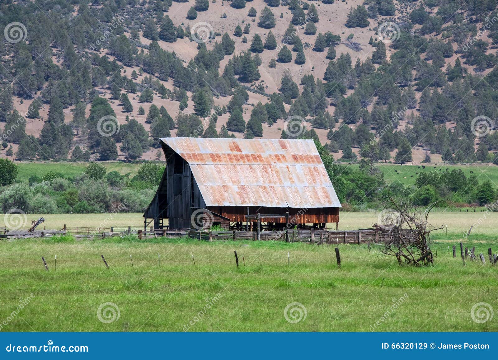 Barn in green pasture stock image. Image of grass, scene - 66320129