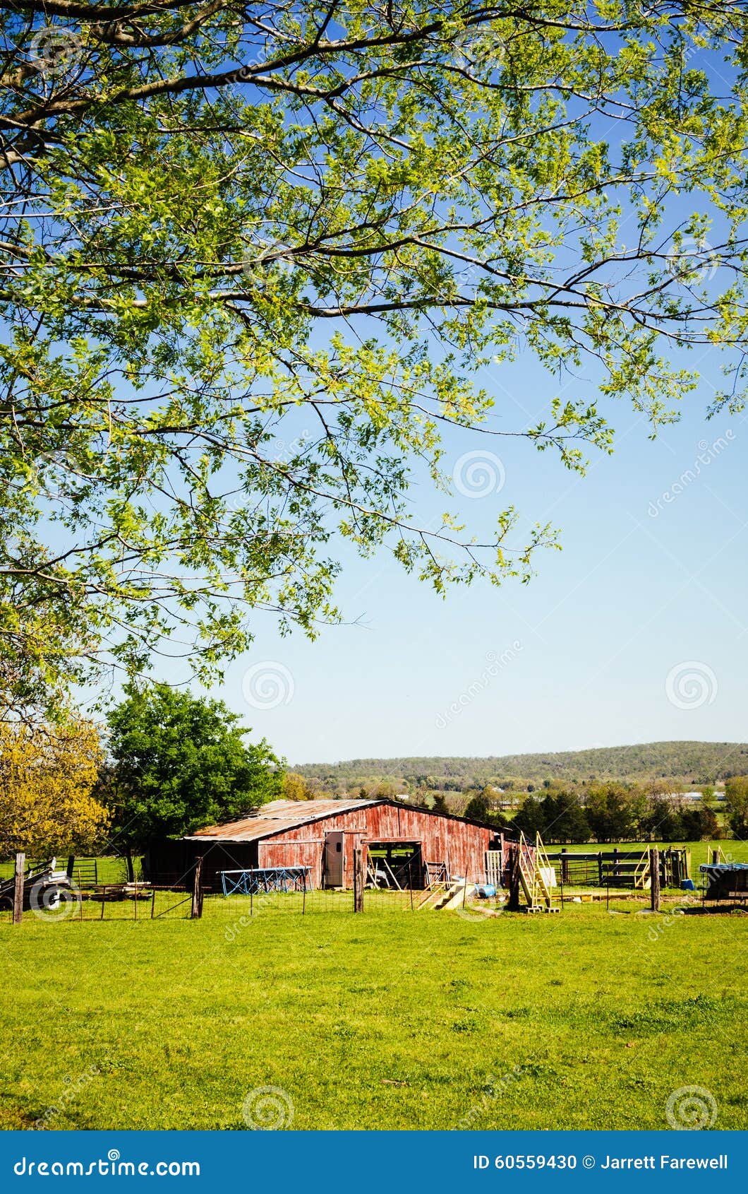 Barn life stock photo. Image of arkansas, farm, green - 60559430