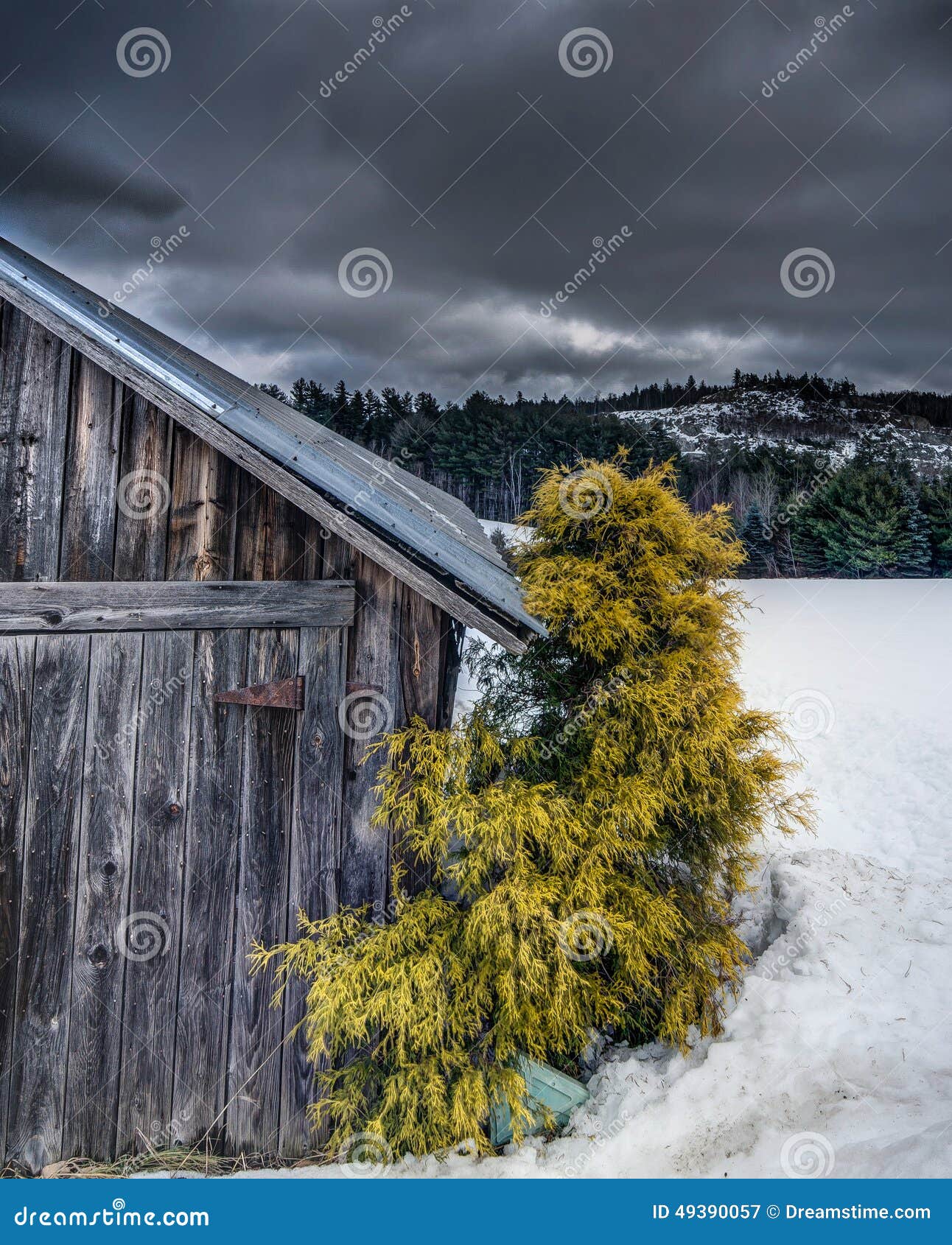 12,412 Barn Life Stock Photos - Free & Royalty-Free Stock Photos from ...