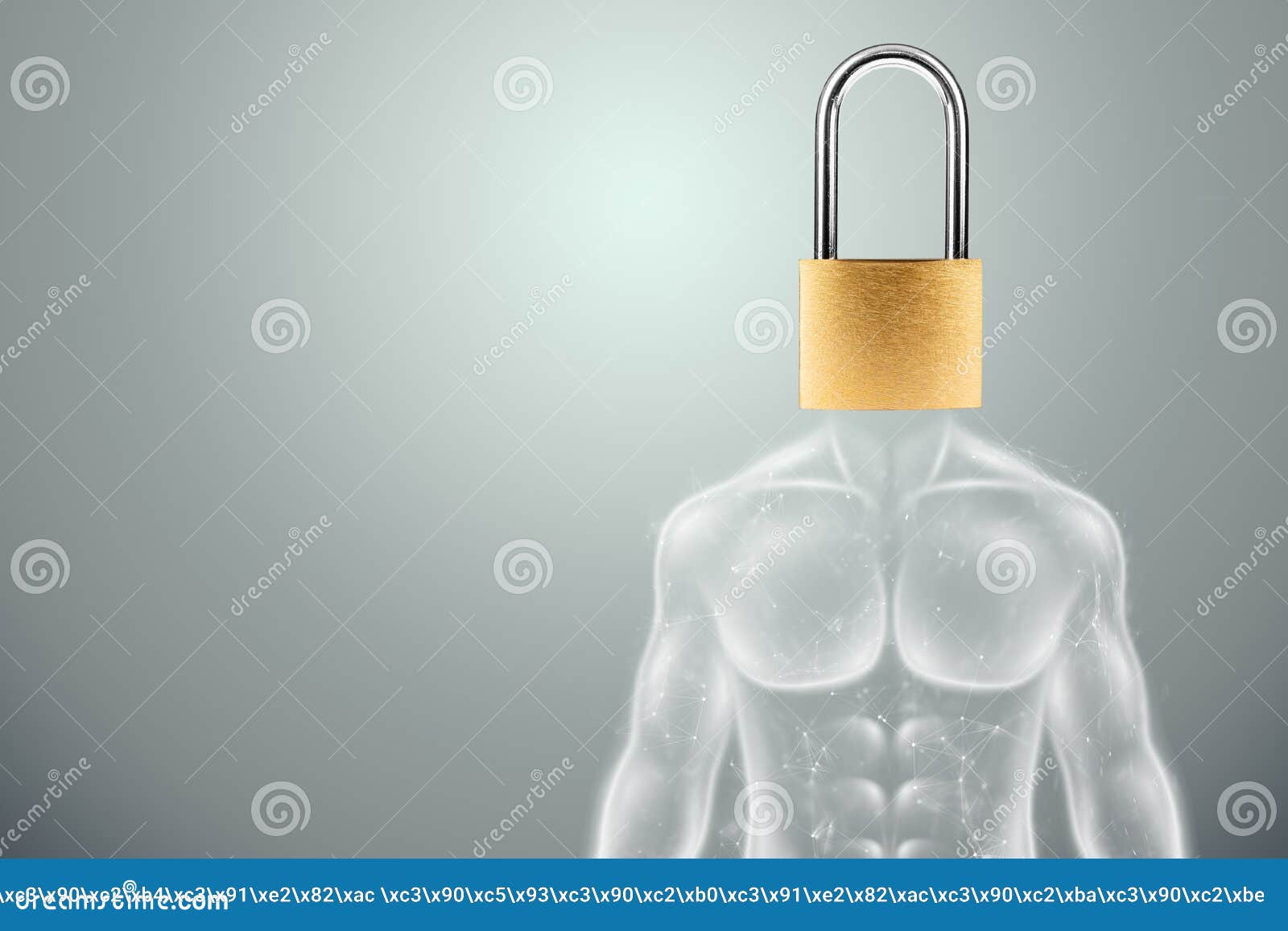 A Barn Lock instead of a Human Head. Concept of Protection of Personal ...