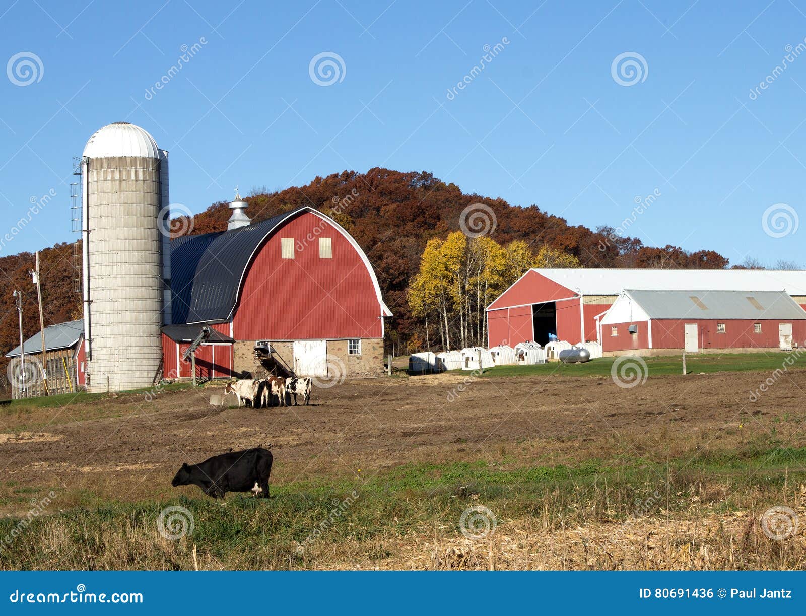 Barn and machine sheds stock photo. Image of outdoors - 80691436