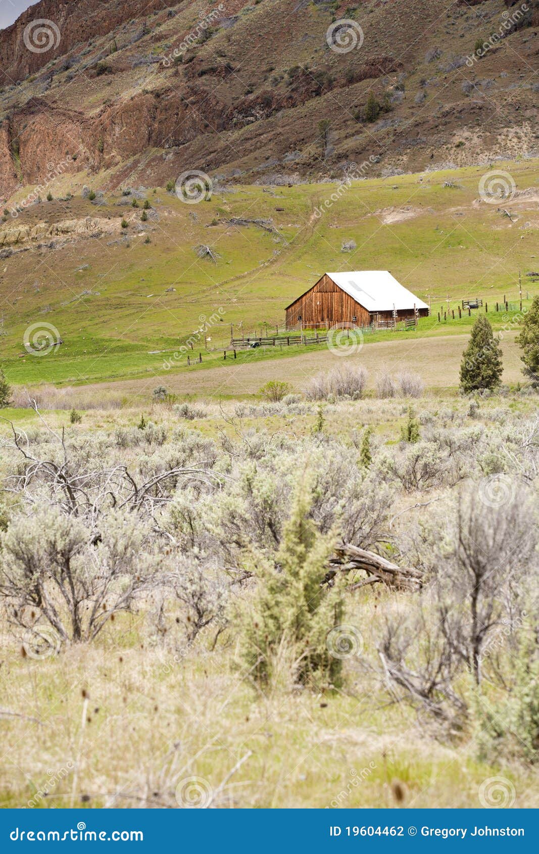 Barn in meadow scenic. stock photo. Image of field, farm - 19604462