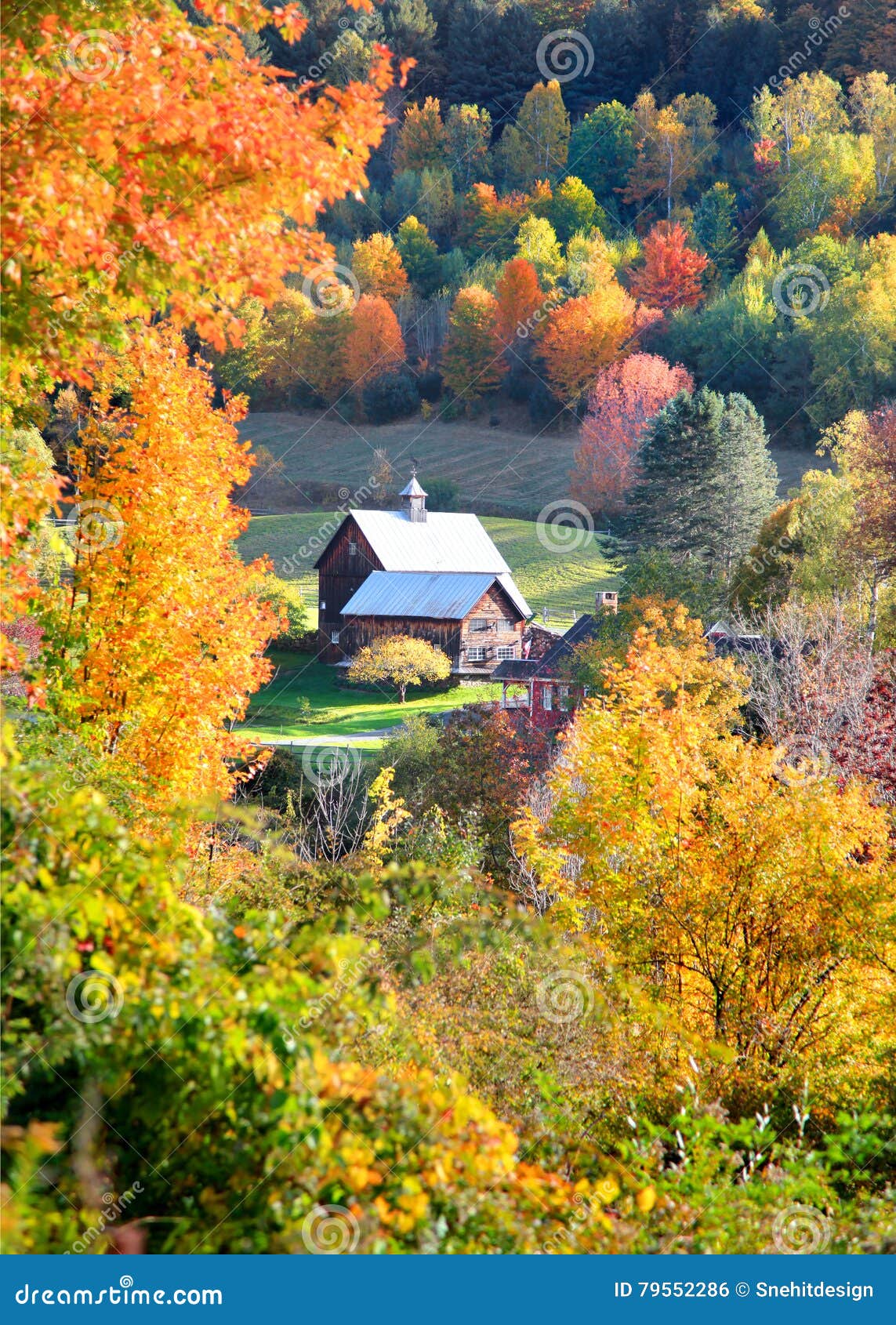 Barn in the Middle of Autumn Trees Stock Photo - Image of colors, fall ...
