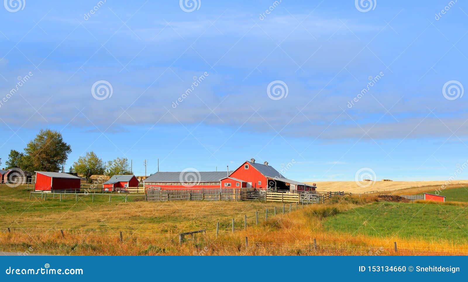 Barn in the Middle of Prairies in Alberta Stock Photo - Image of barn ...