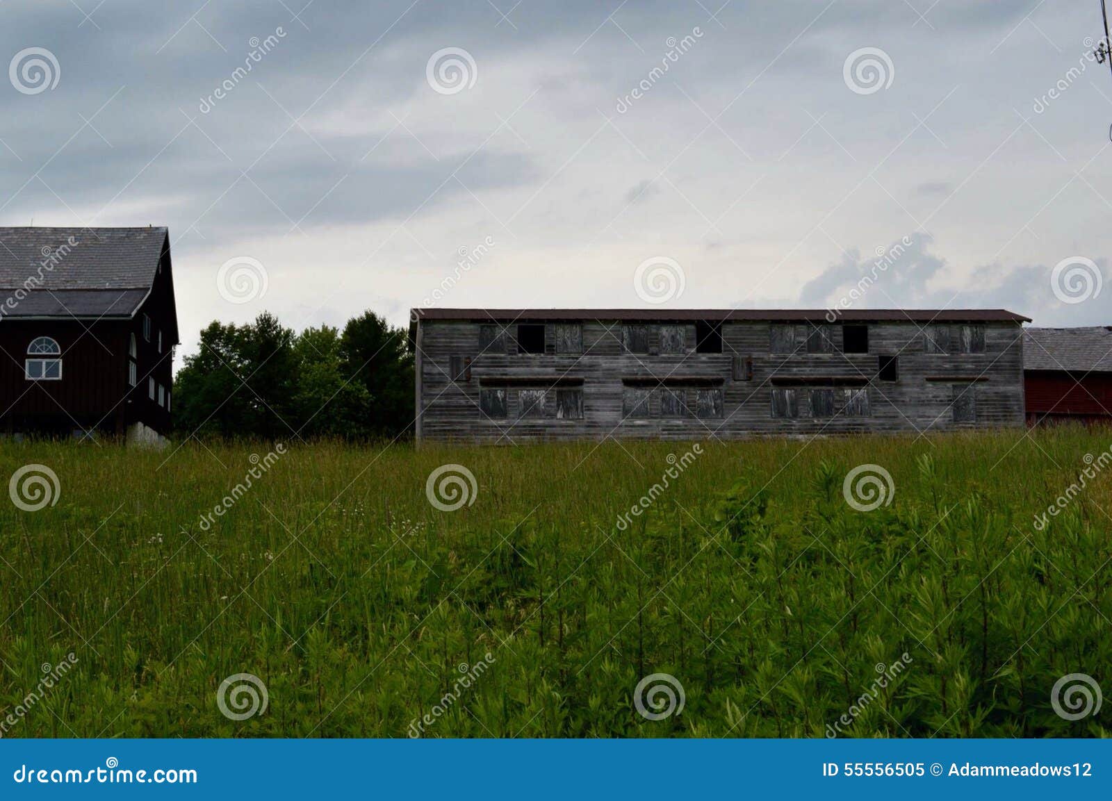Barn editorial image. Image of outdoors, land, agricultral - 55556505
