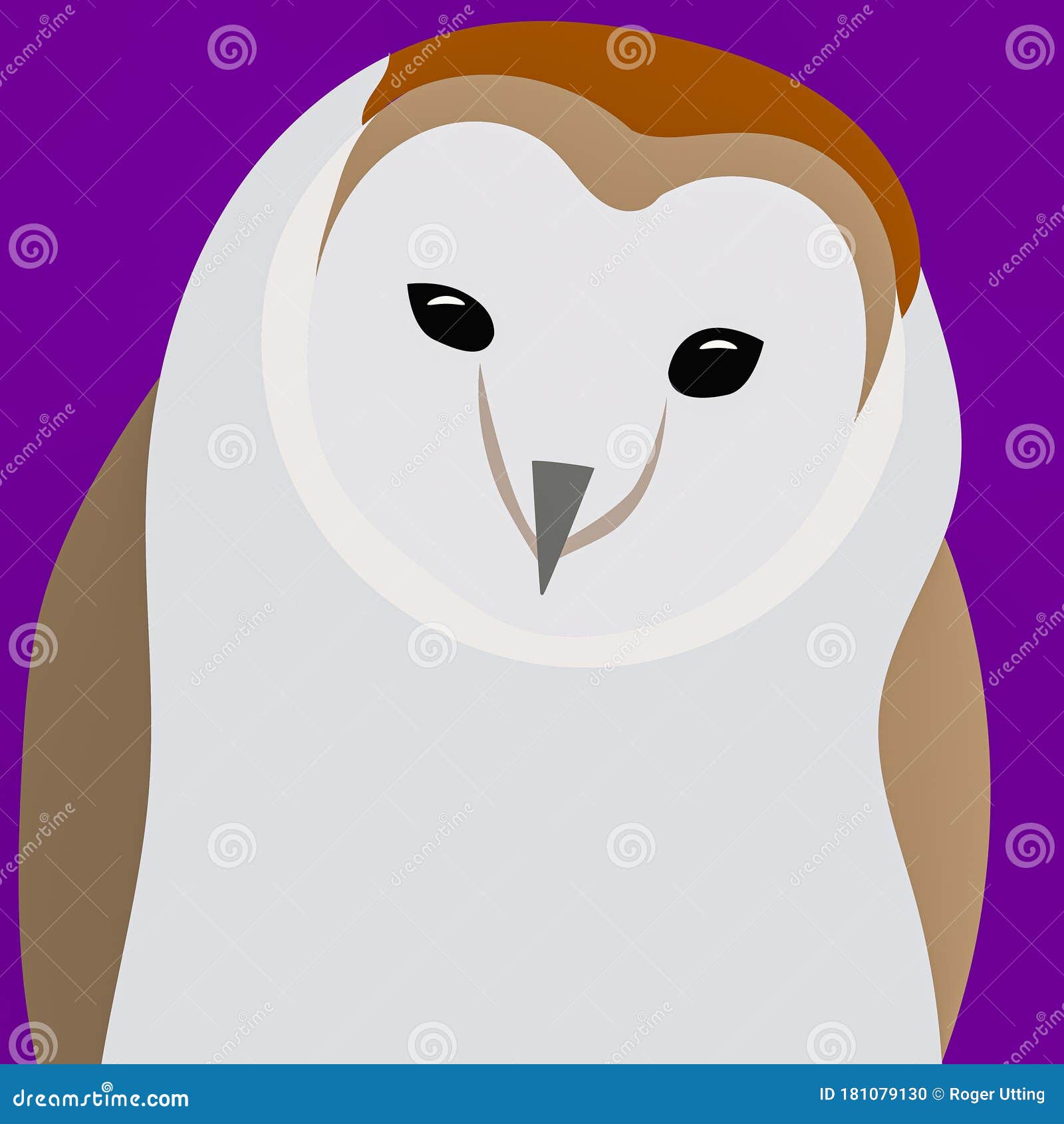 Barn Owl Graphic stock illustration. Illustration of animal - 181079130