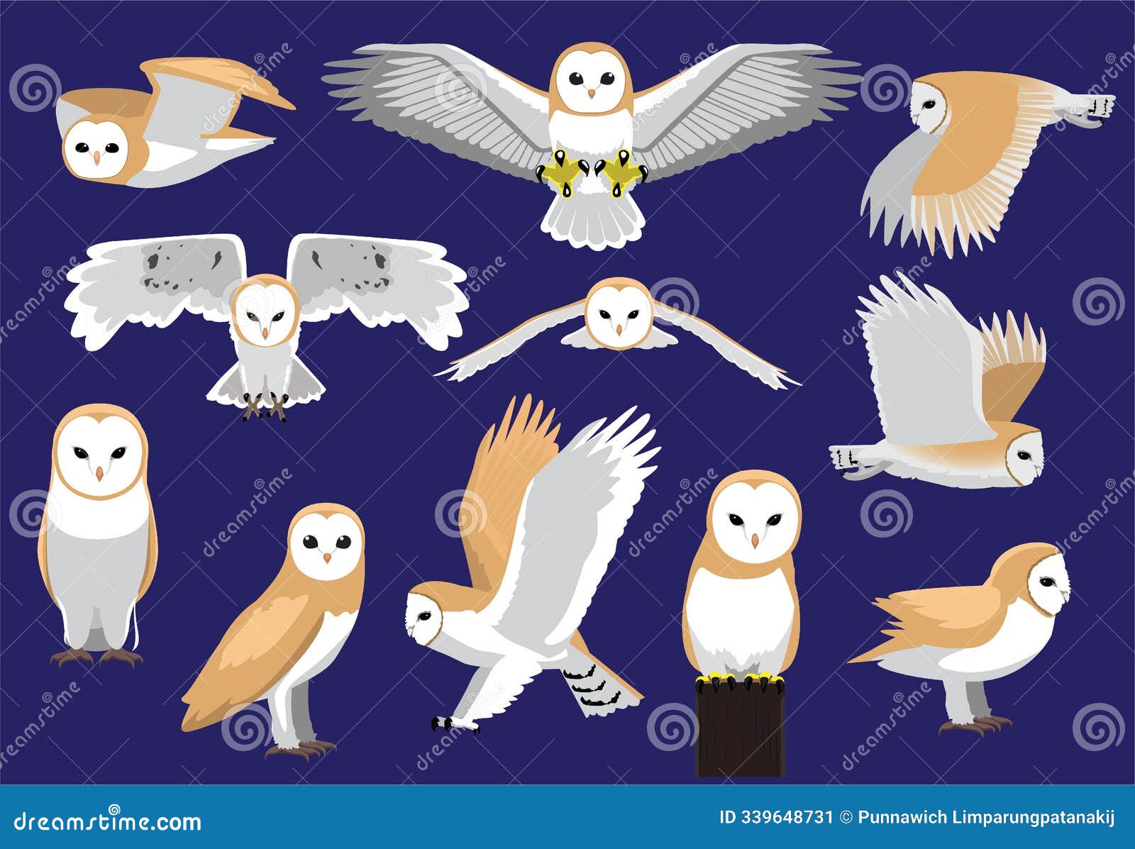 Barn Owl Poses Night Bird Vector Character Illustration Stock ...