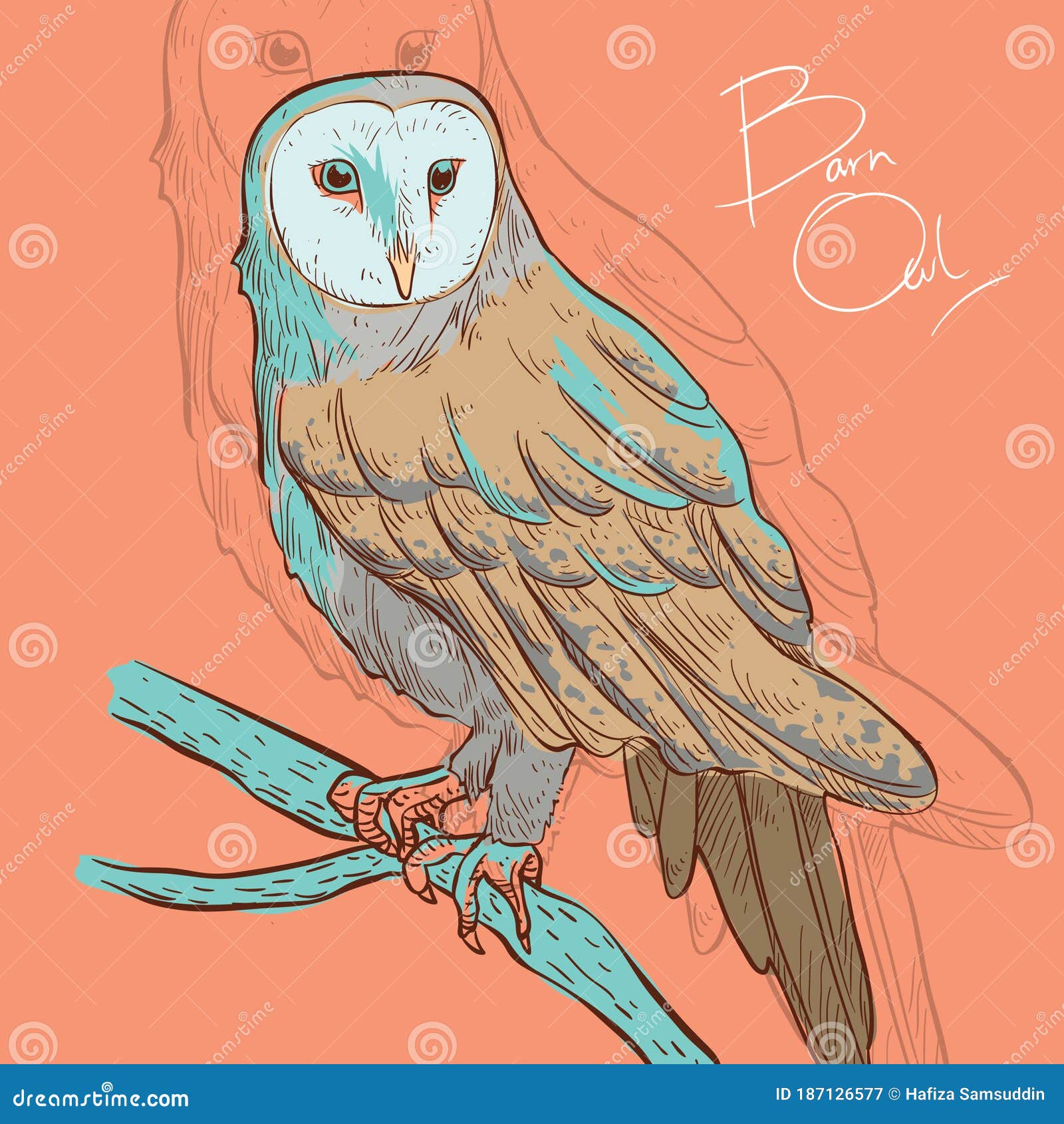 Barn Owl. Vector Illustration Decorative Design Stock Vector ...