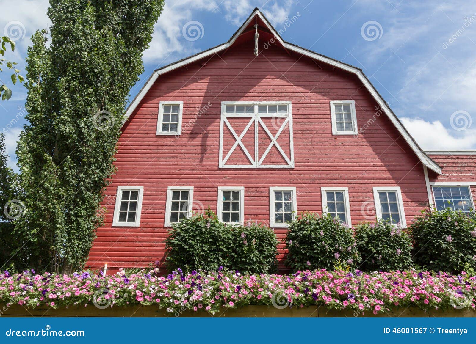 Barn stock image. Image of flowers, clouds, windows, structure - 46001567