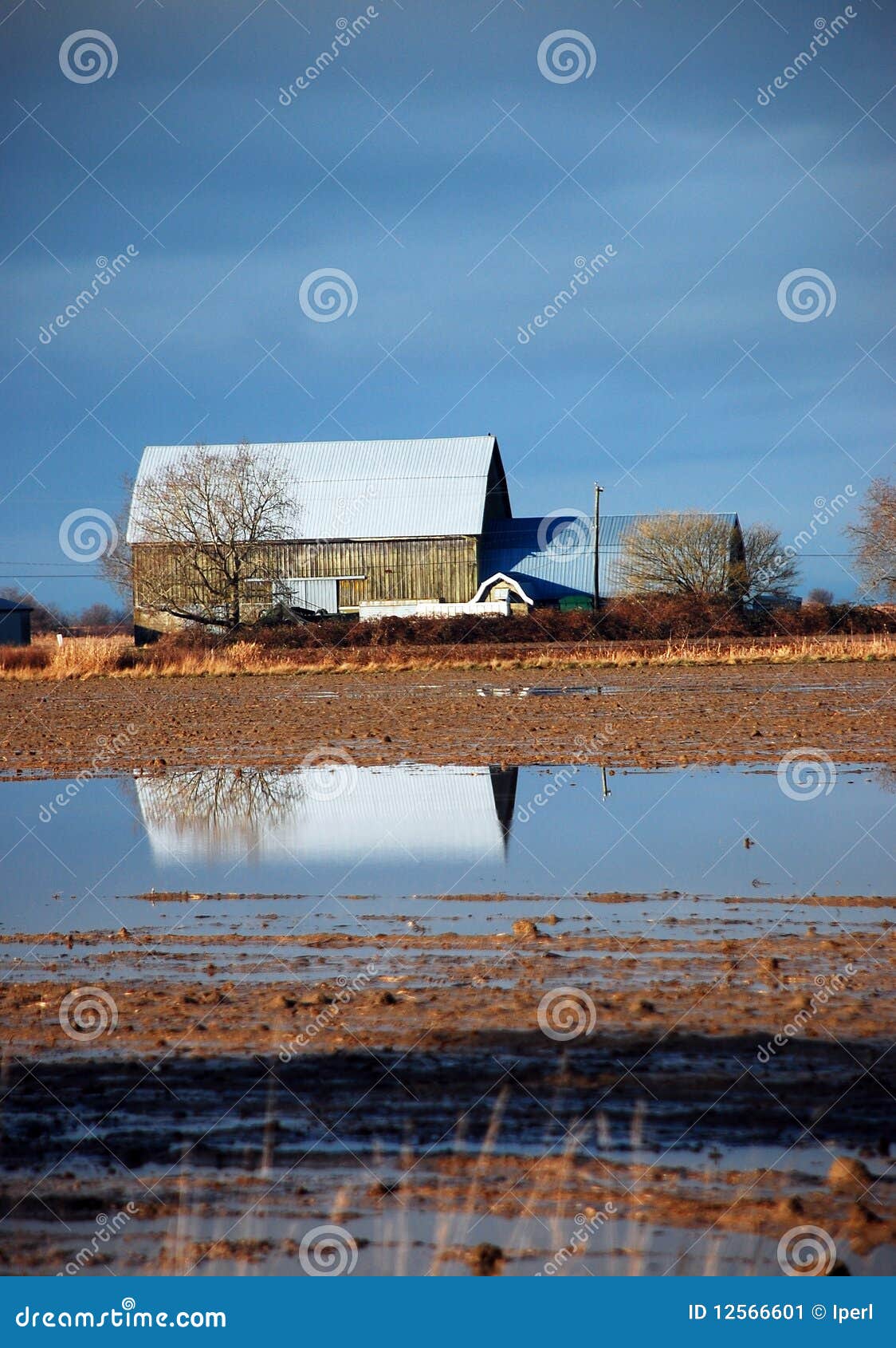 Barn Reflected on Flooded Farm Stock Image - Image of structure ...