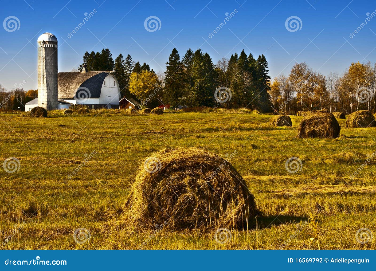 Barn with Rolls of Hay, Wisconsin Stock Photo - Image of agricultural ...