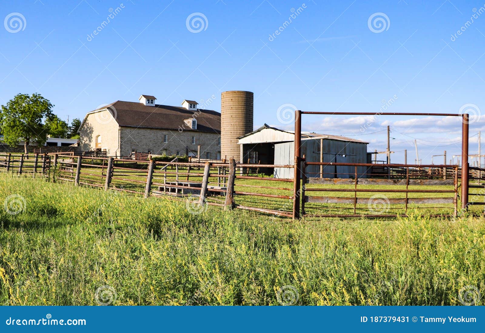 Barn, Silo and Paddock on Kansas Farm Stock Image - Image of blue ...
