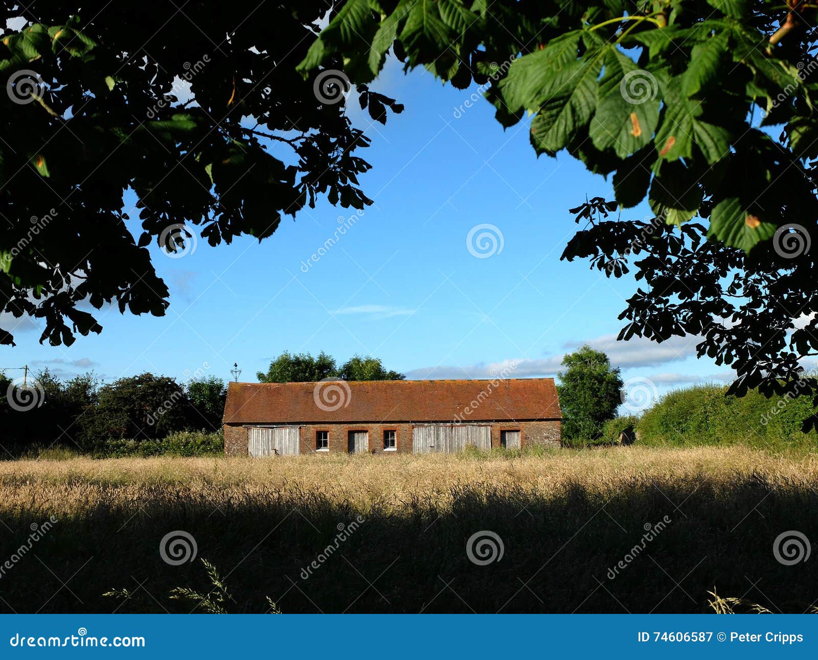 Barn stock image. Image of grass, farming, hideaway, farm - 74606587