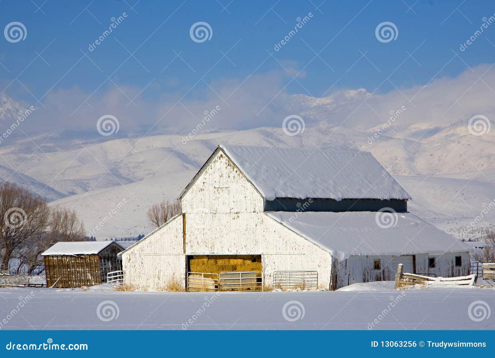 Barn in Snow stock photo. Image of winter, utah, snow - 13063256