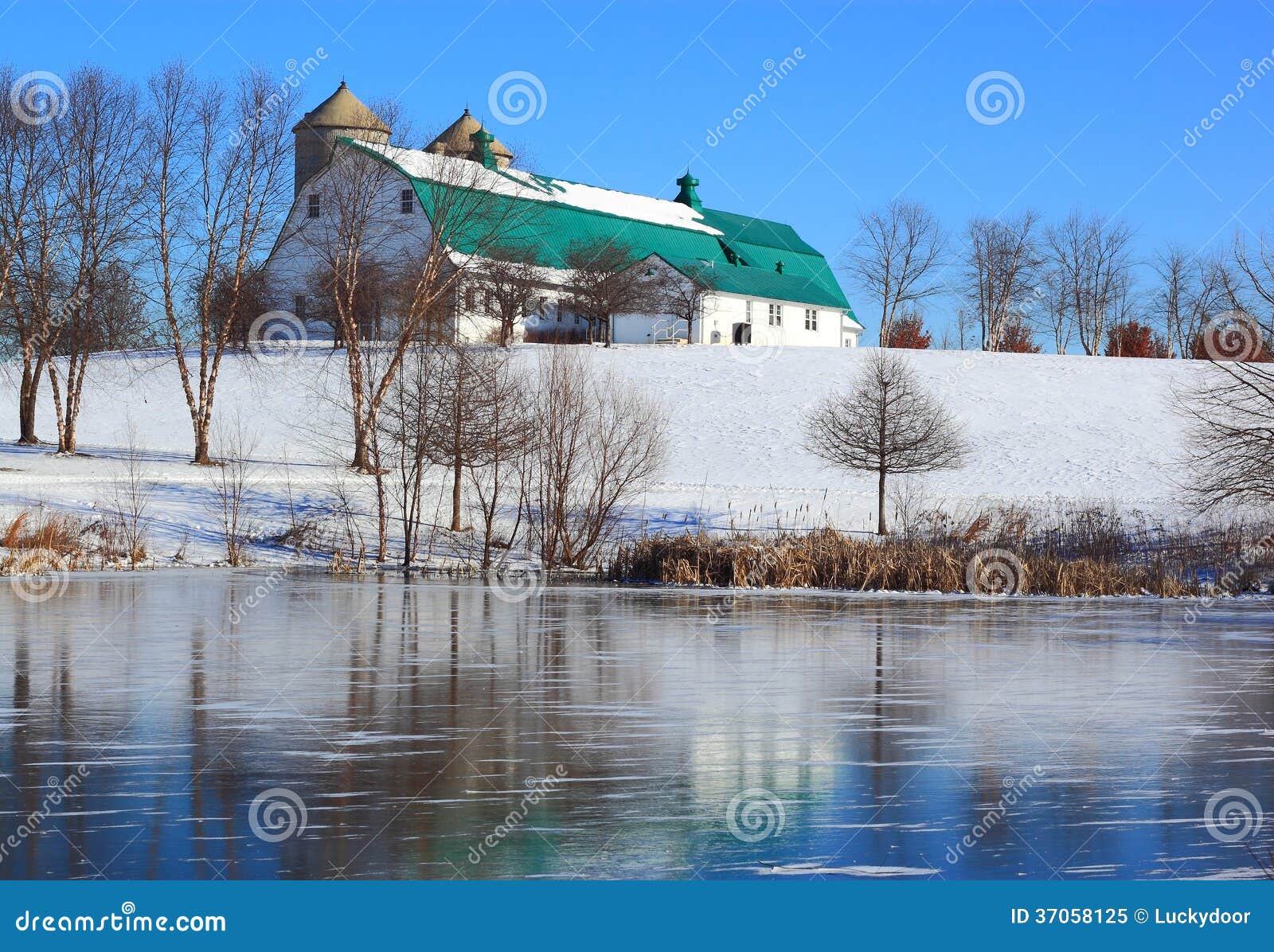 Winter Snow Freezing Pond stock image. Image of countryside - 37058125
