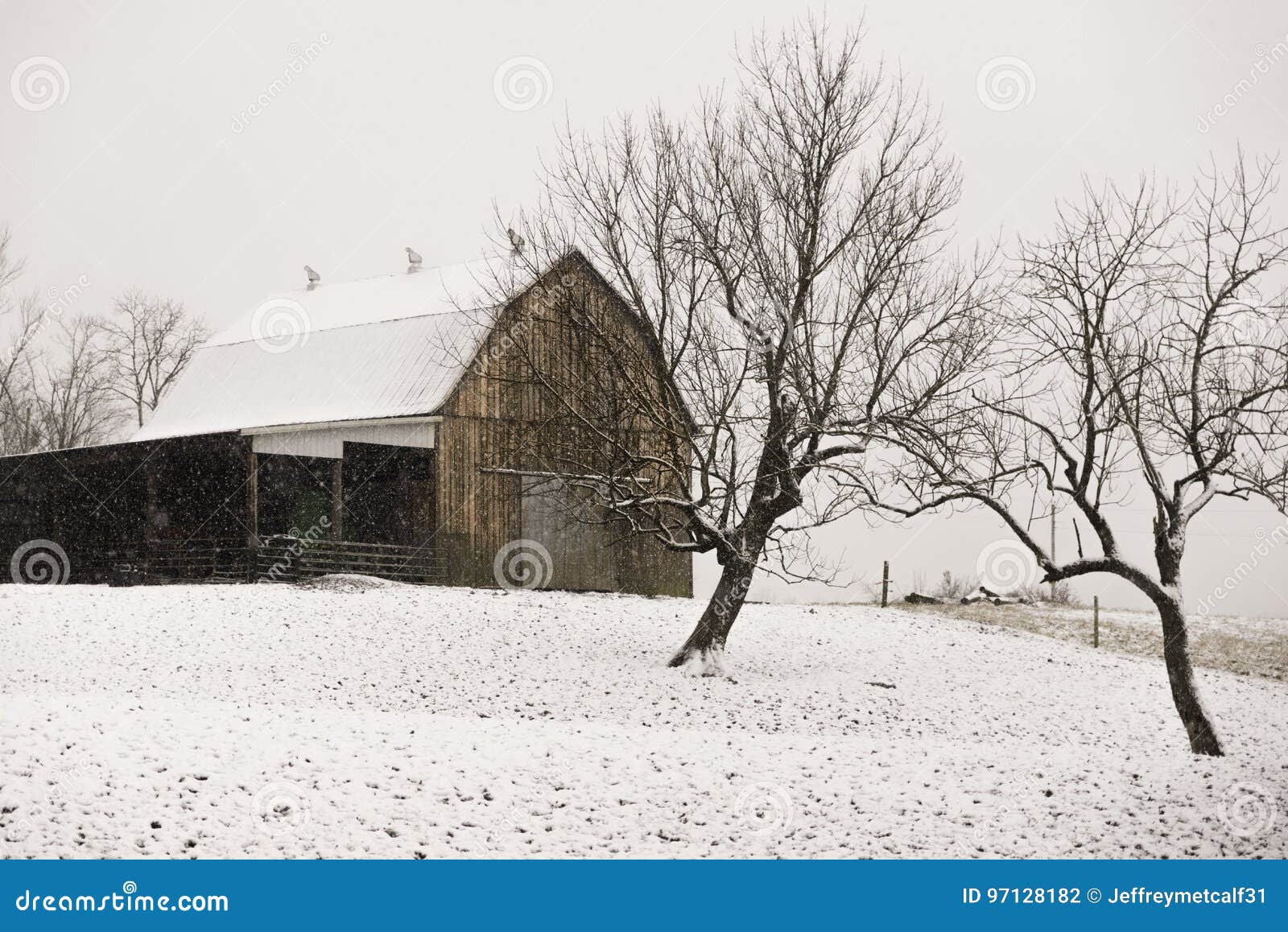 Barn in snow stock photo. Image of cold, landscape, snowfall - 97128182