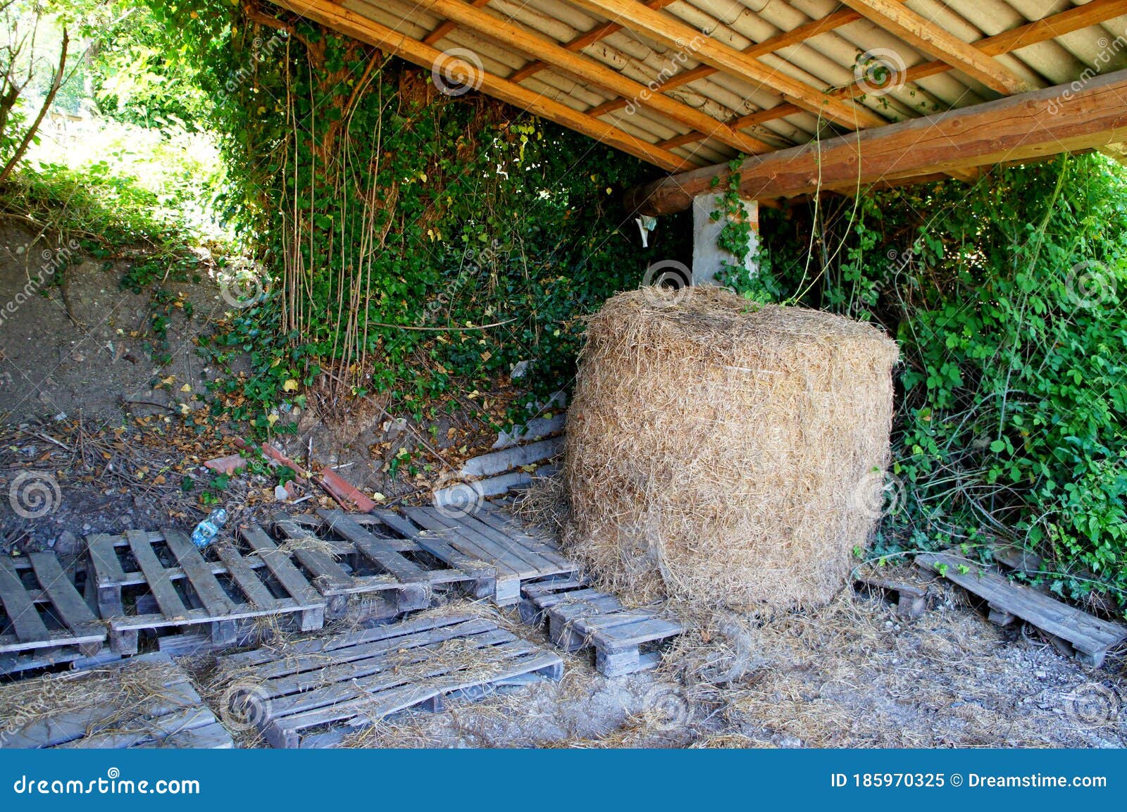 Barn with the Stack of Hay. Stock Image - Image of agriculture ...