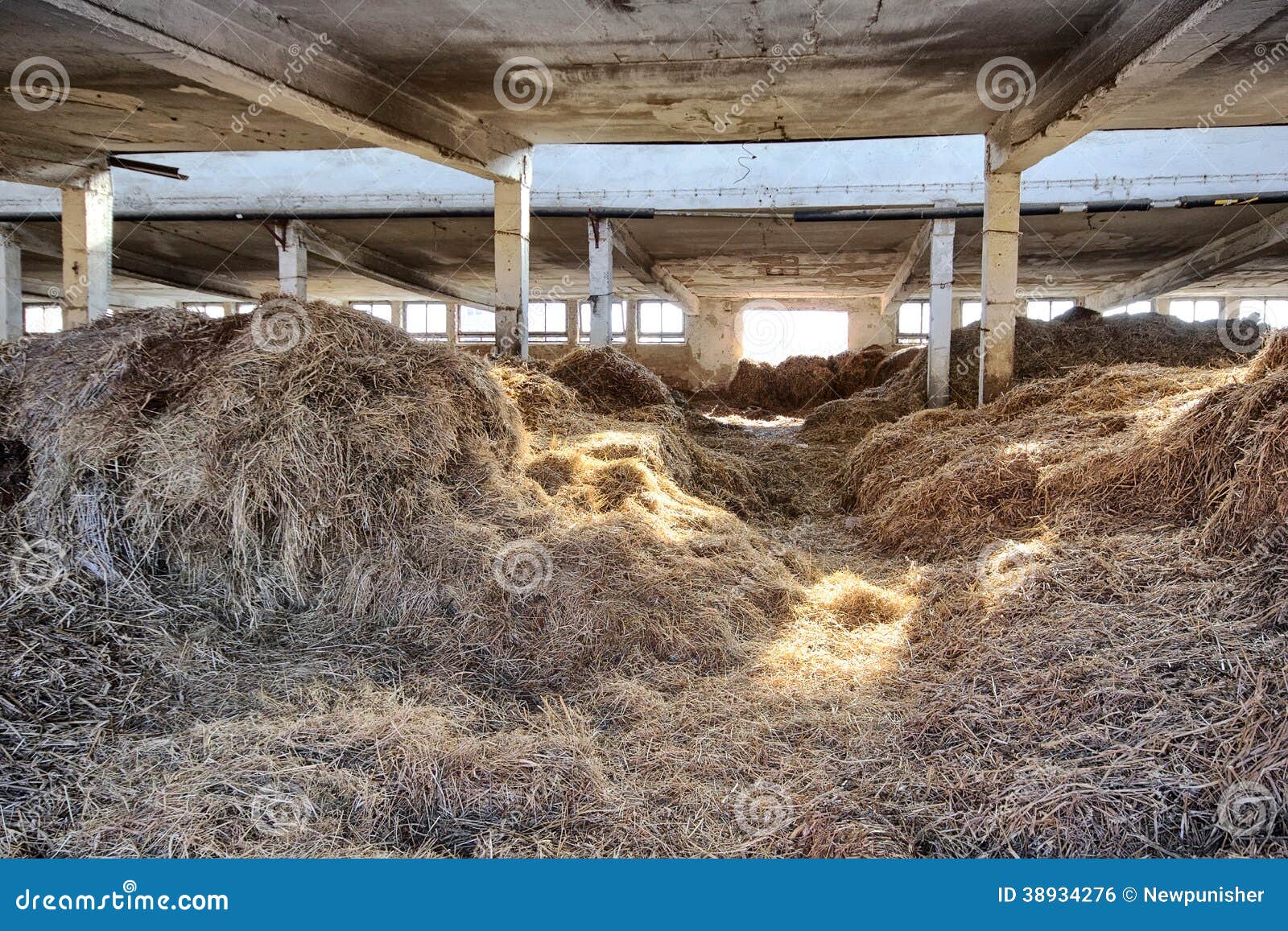 Barn with straw stock photo. Image of barn, food, stable - 38934276