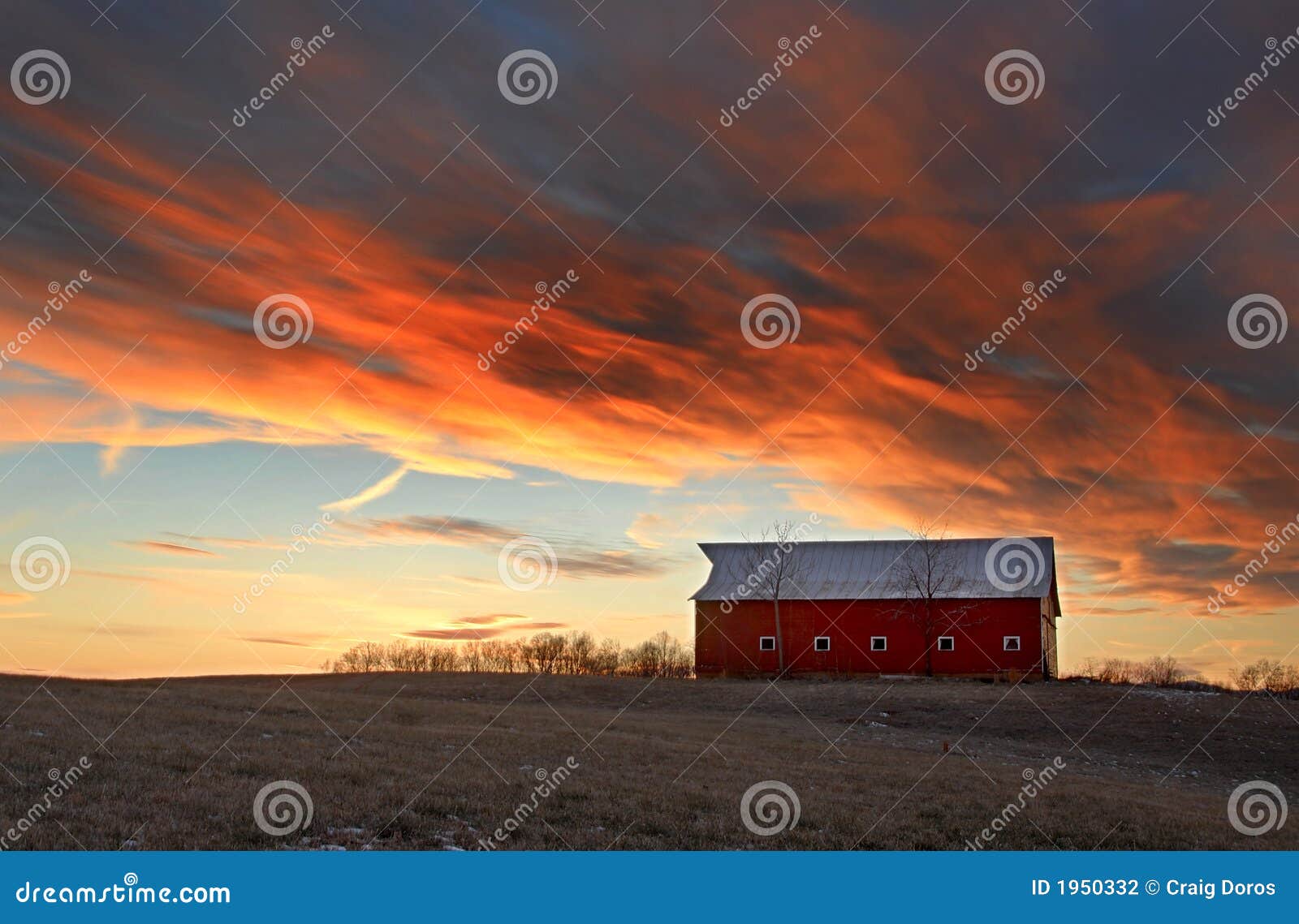 Barn at sunset stock photo. Image of meadow, wavy, dusk - 1950332