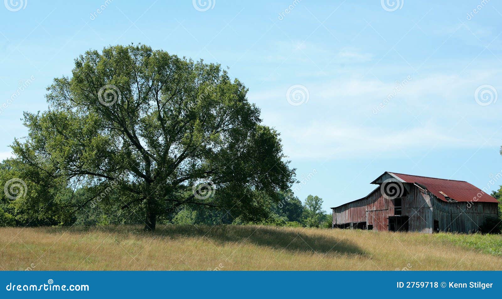 Barn and Tree stock photo. Image of tennessee, shade, harvest - 2759718