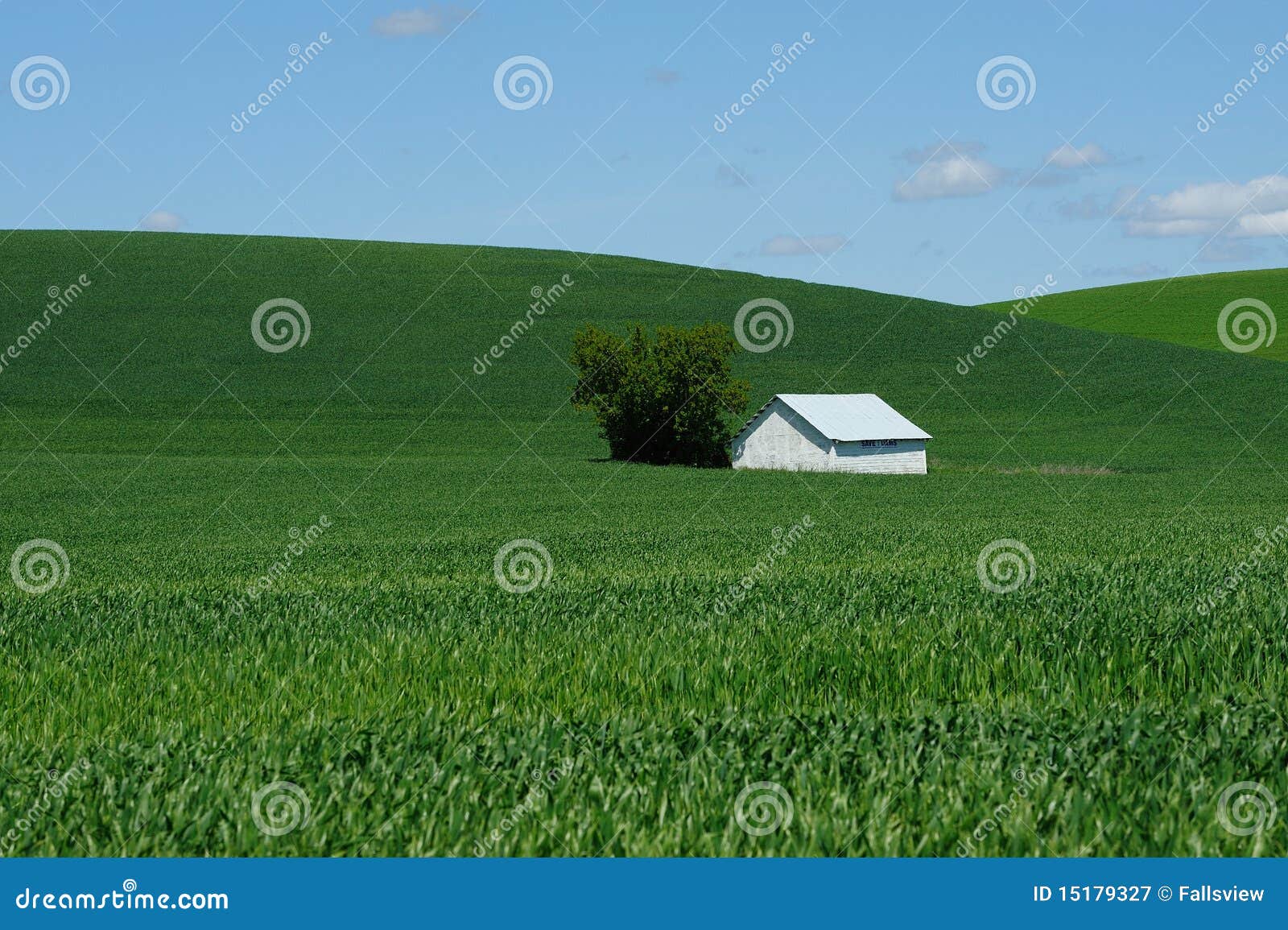 Barn in wheat field stock image. Image of state, barley - 15179327
