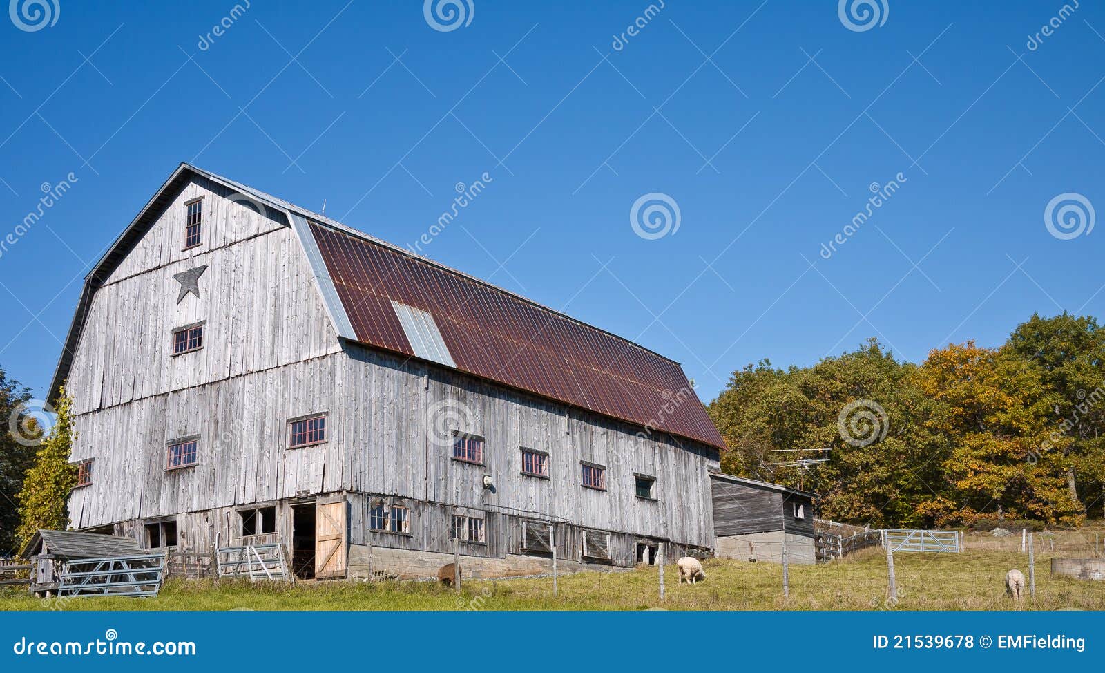Barn wide shot stock photo. Image of fall, farming, lamb - 21539678