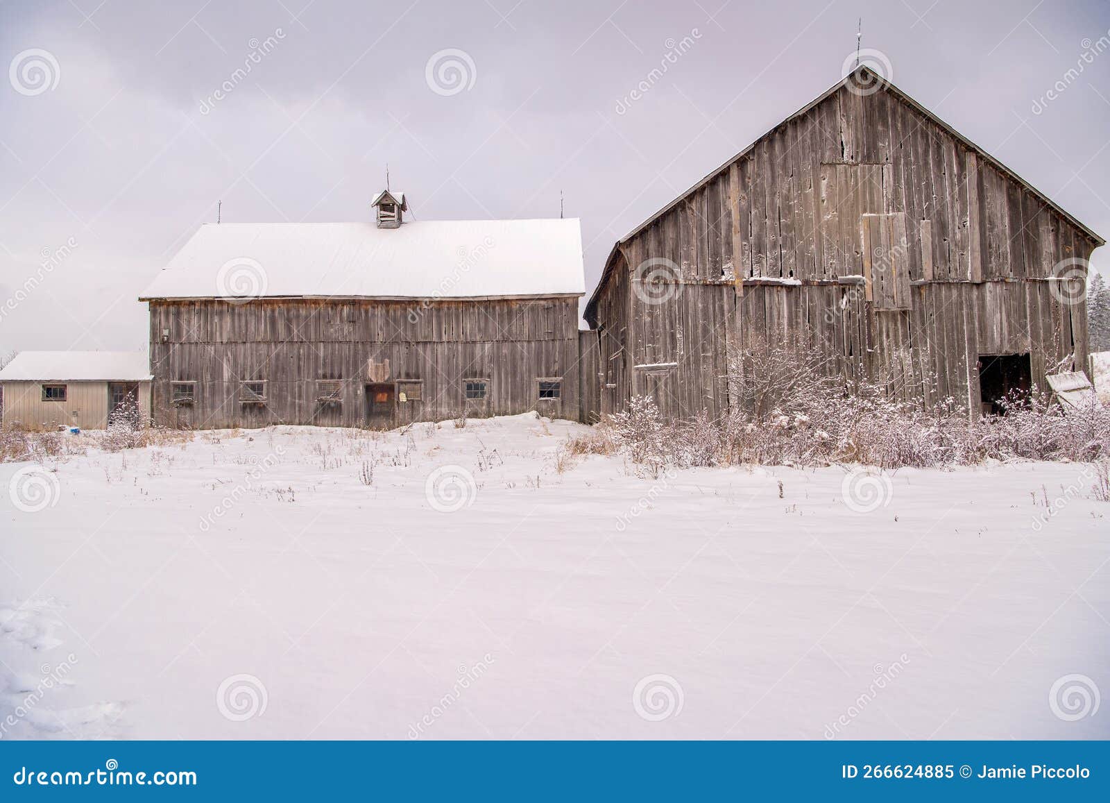 Barn in winter stock image. Image of home, house, barn - 266624885