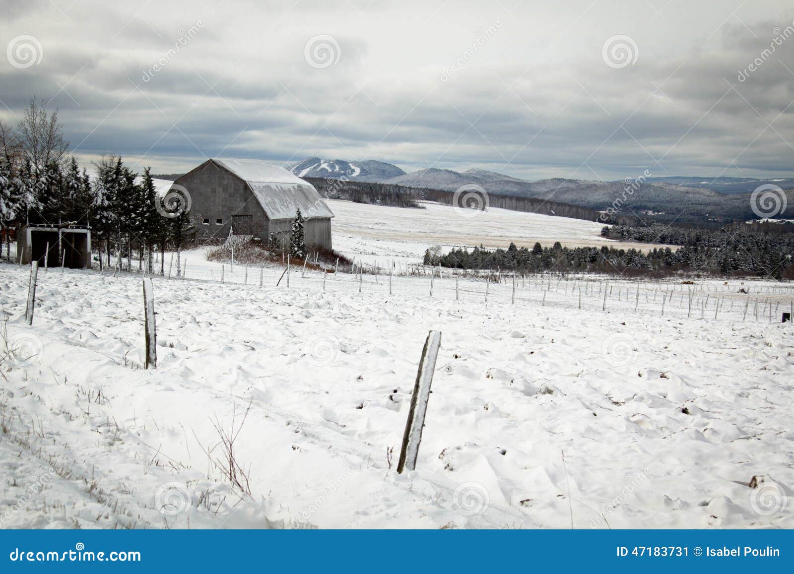 Barn in winter stock image. Image of snow, fence, tree - 47183731
